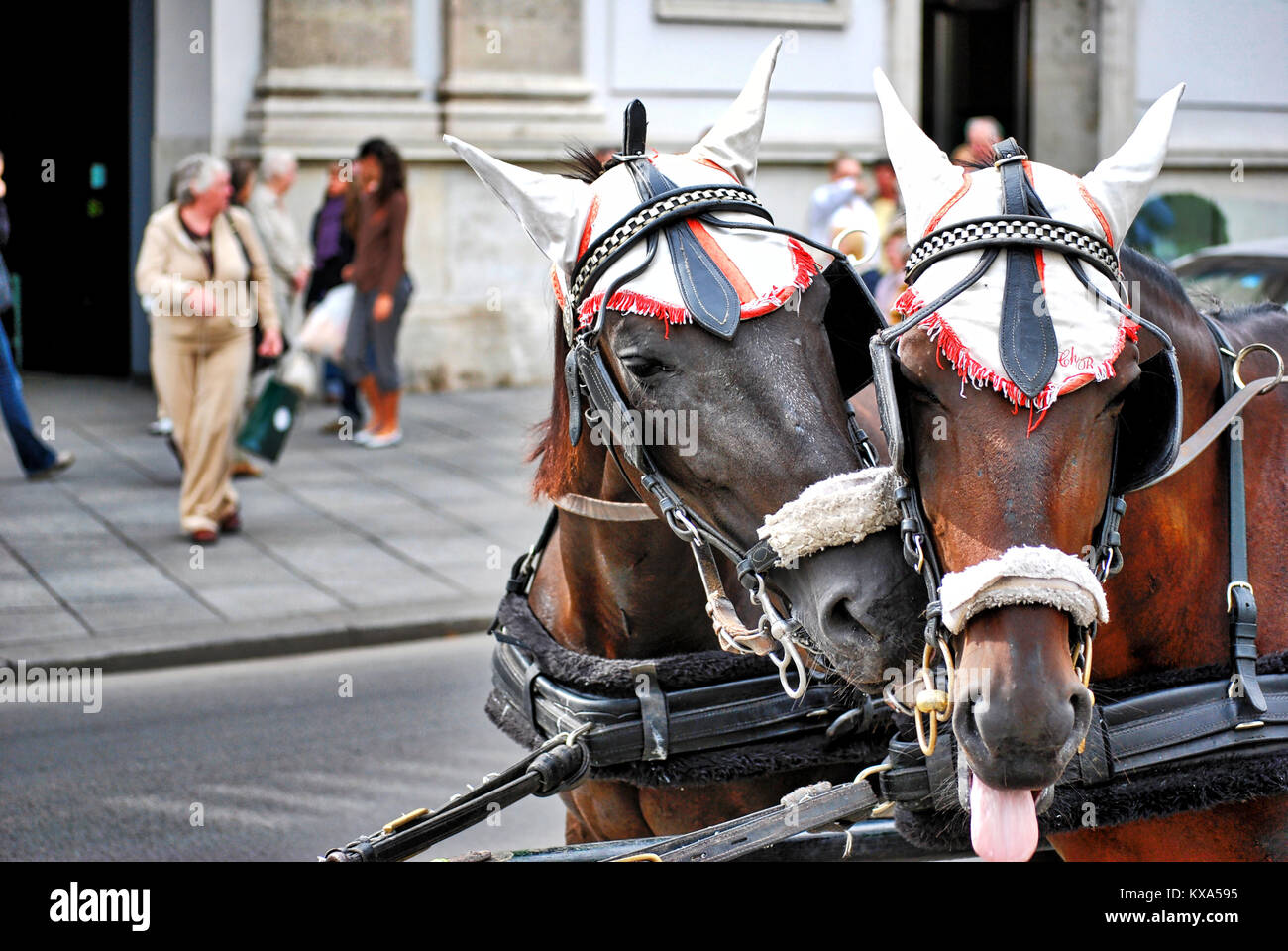 FRIENDSHIP COMES IN ALL SHAPES AND SIZES Stock Photo - Alamy
