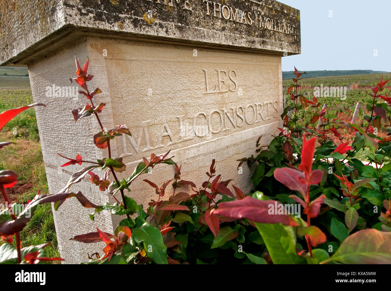 Les malconsorts hi-res stock photography and images - Alamy