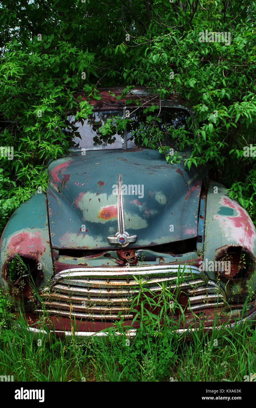 Old vintage car in overgrown junkyard Stock Photo - Alamy