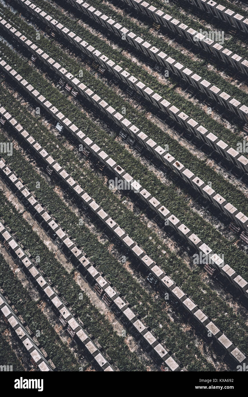 Unique Cemetery High Resolution Stock Photography and Images - Alamy