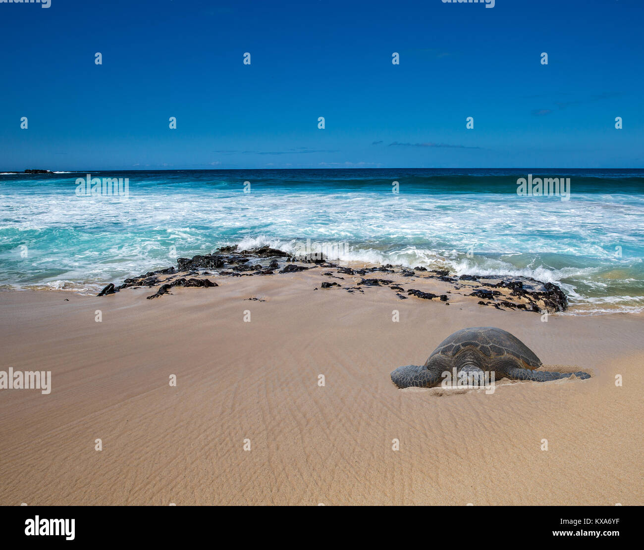 Peace aloha hi-res stock photography and images - Alamy