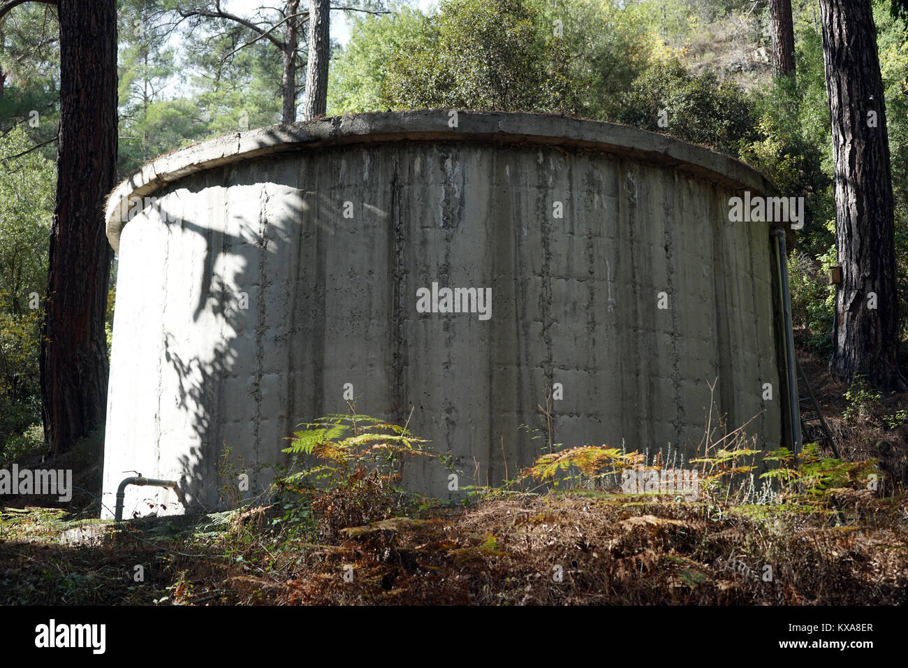 Big concrete cictern in the forest Stock Photo - Alamy