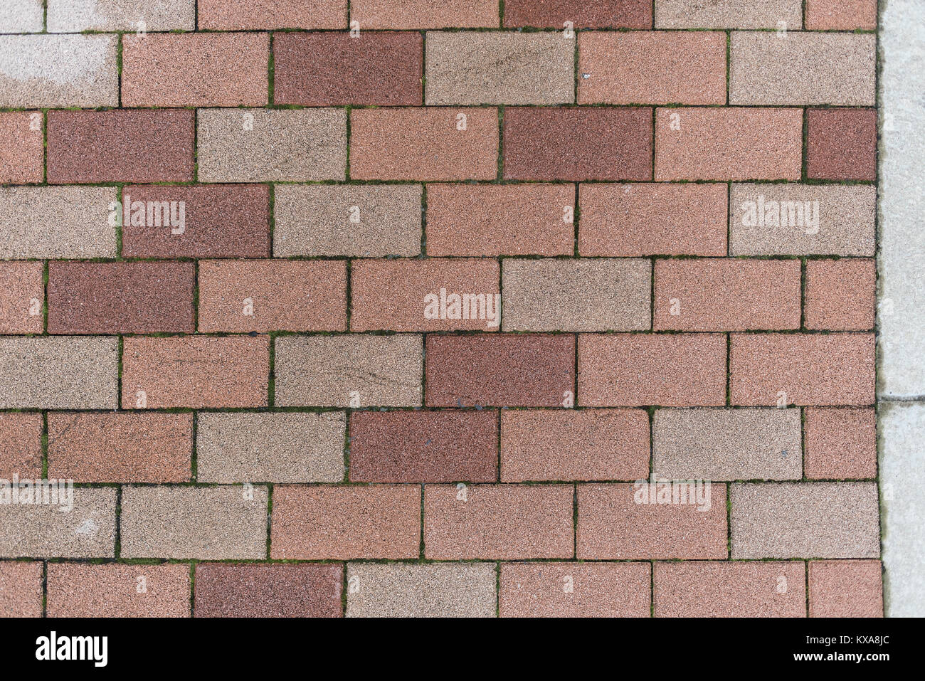 cement brick texture background decoration for outdoor pavement ...