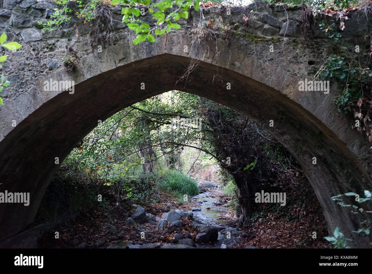 Arc medieval bridge in the forest in Cyprus Stock Photo - Alamy