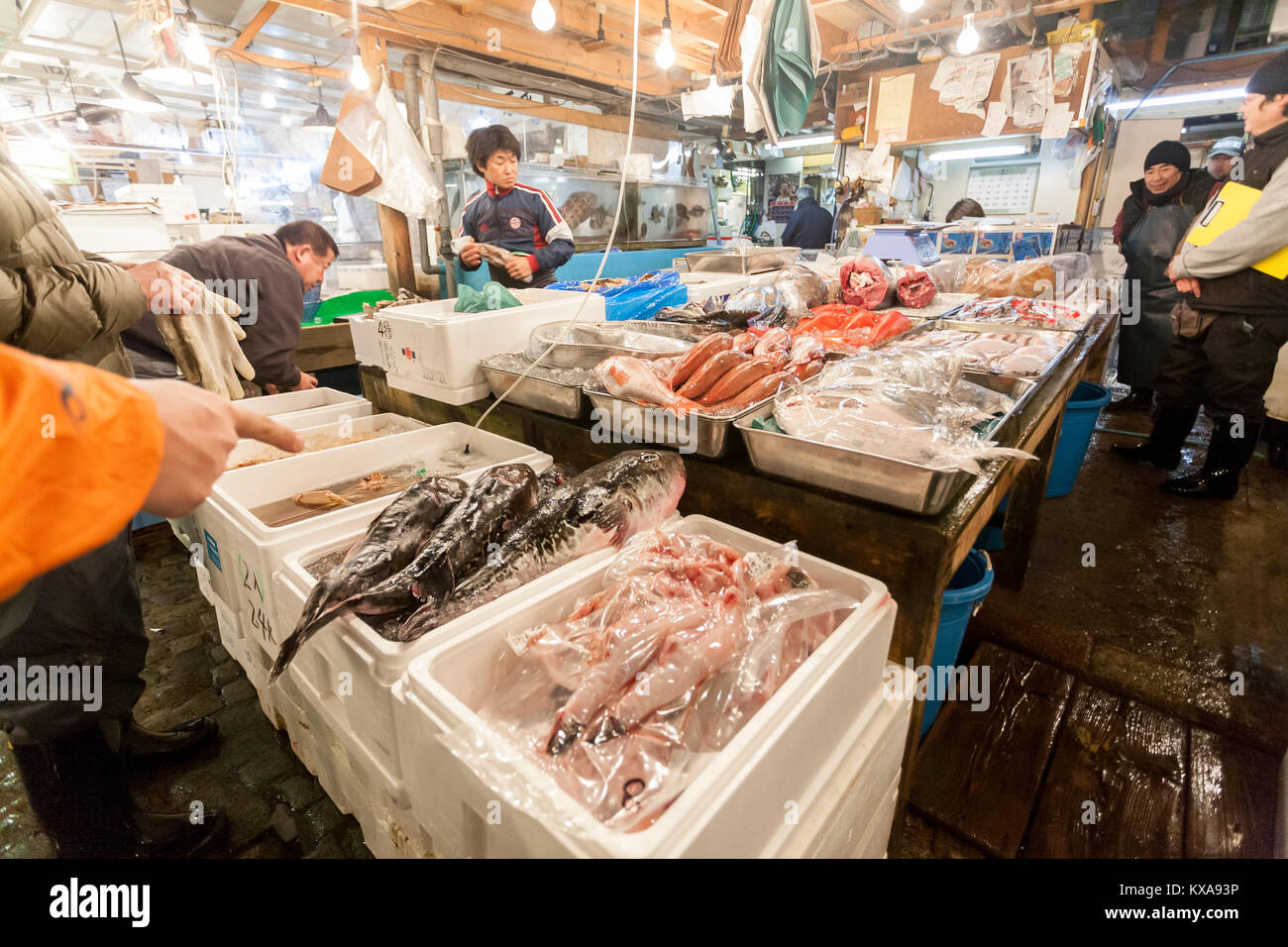 First sale fish hi-res stock photography and images - Alamy