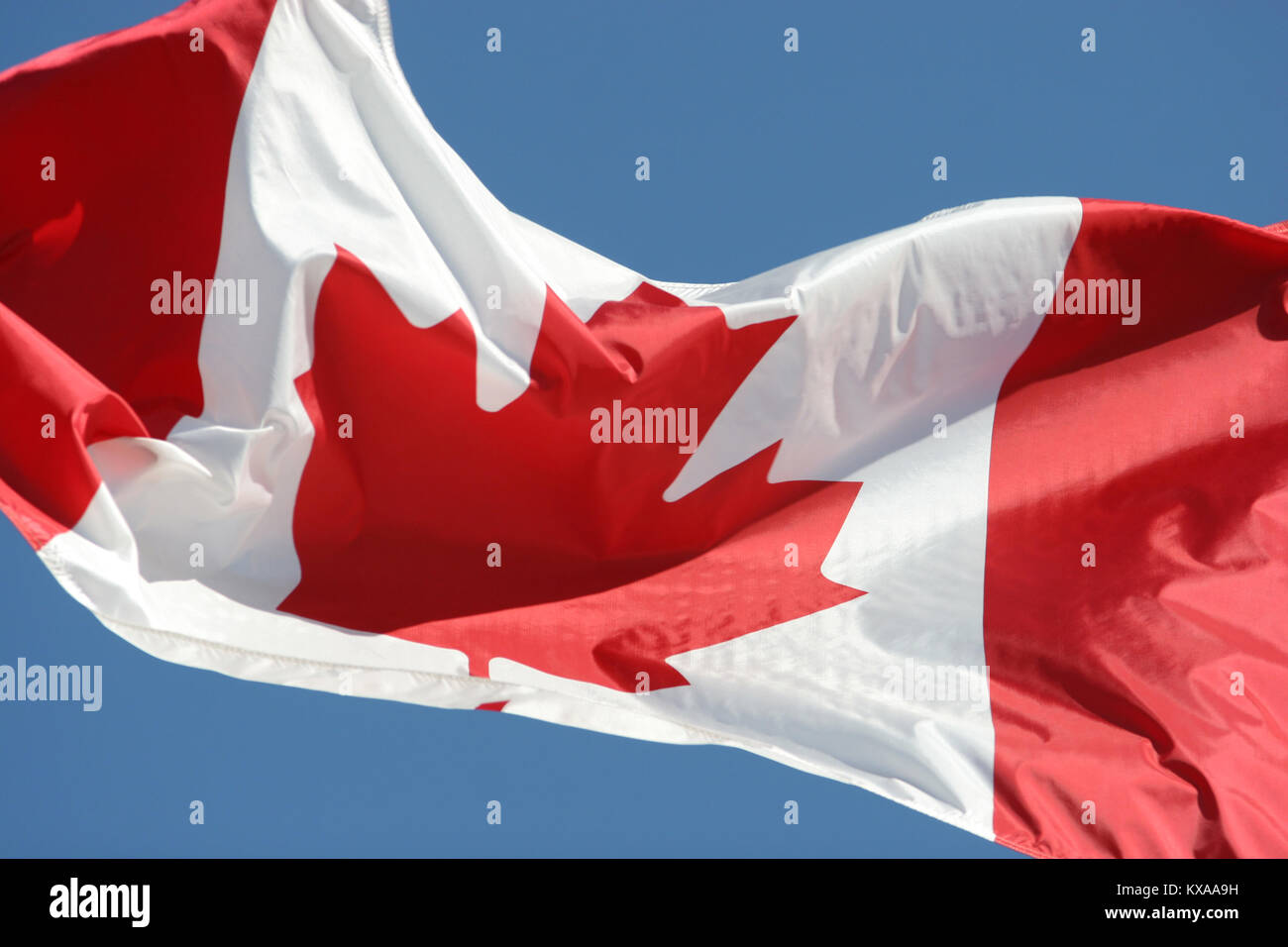 Waving flag of Canada in blue sky background Stock Photo - Alamy
