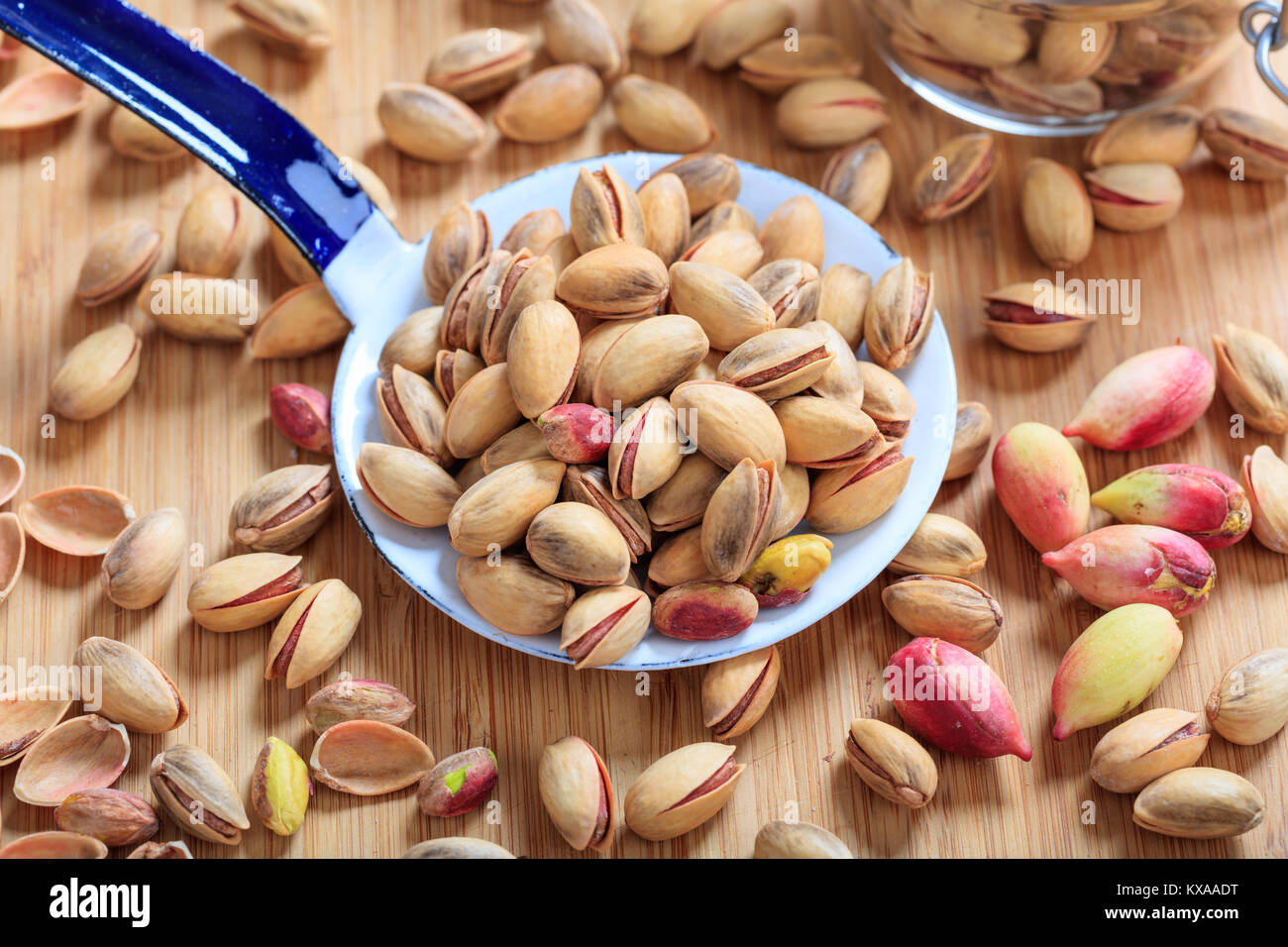 Ladle shell hi-res stock photography and images - Alamy