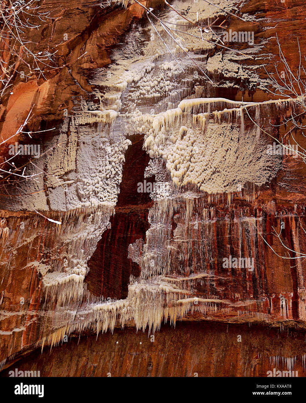 Beautiful ice formation on a sandstone and trees in Zion National Park ...
