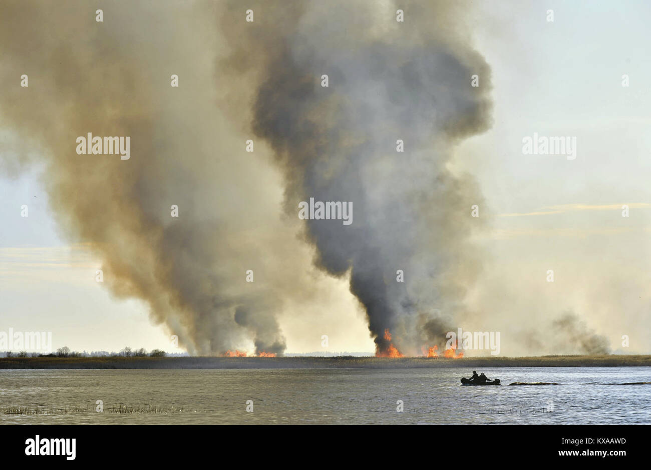 Smoke cloud from the large fire. Burning reed near the lake Stock Photo ...