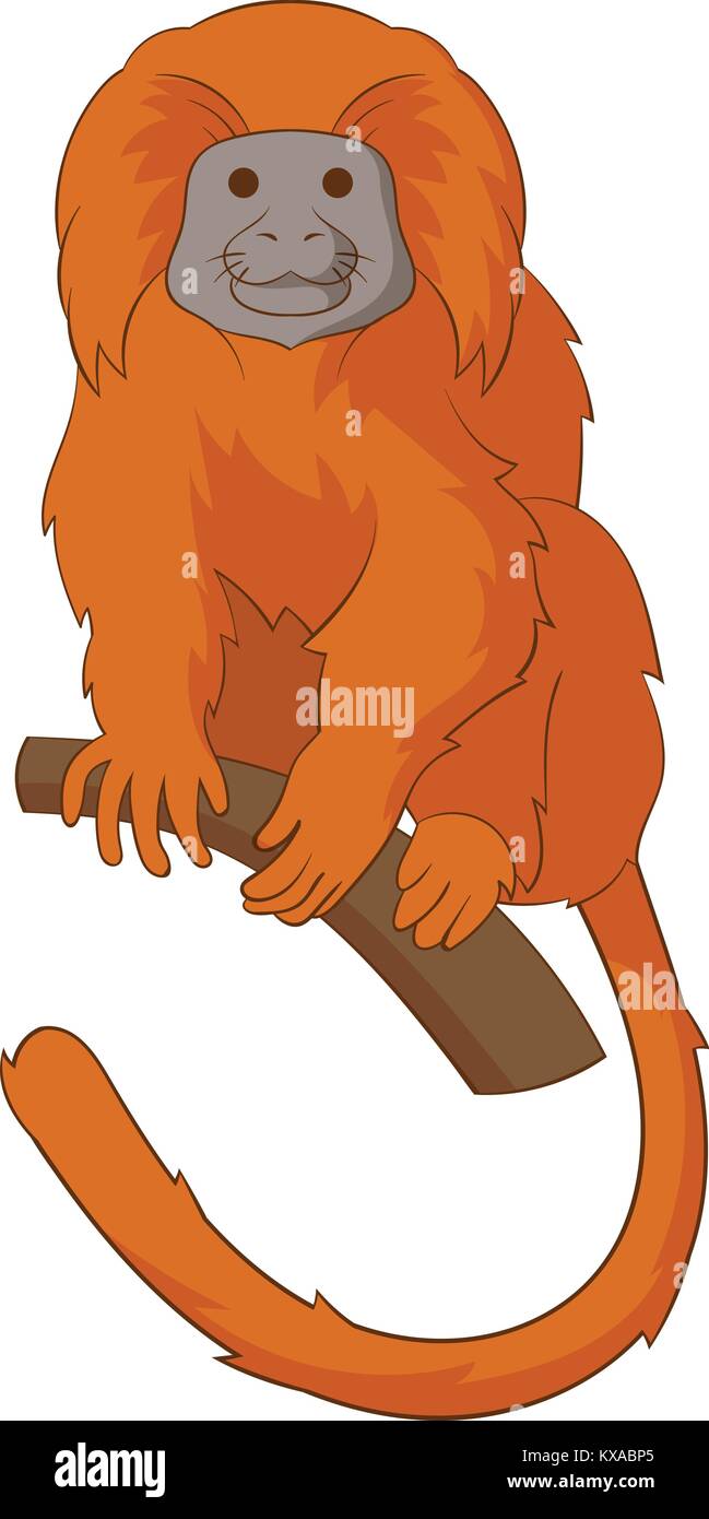 Golden lion tamarin icon, cartoon style Stock Vector Image & Art - Alamy