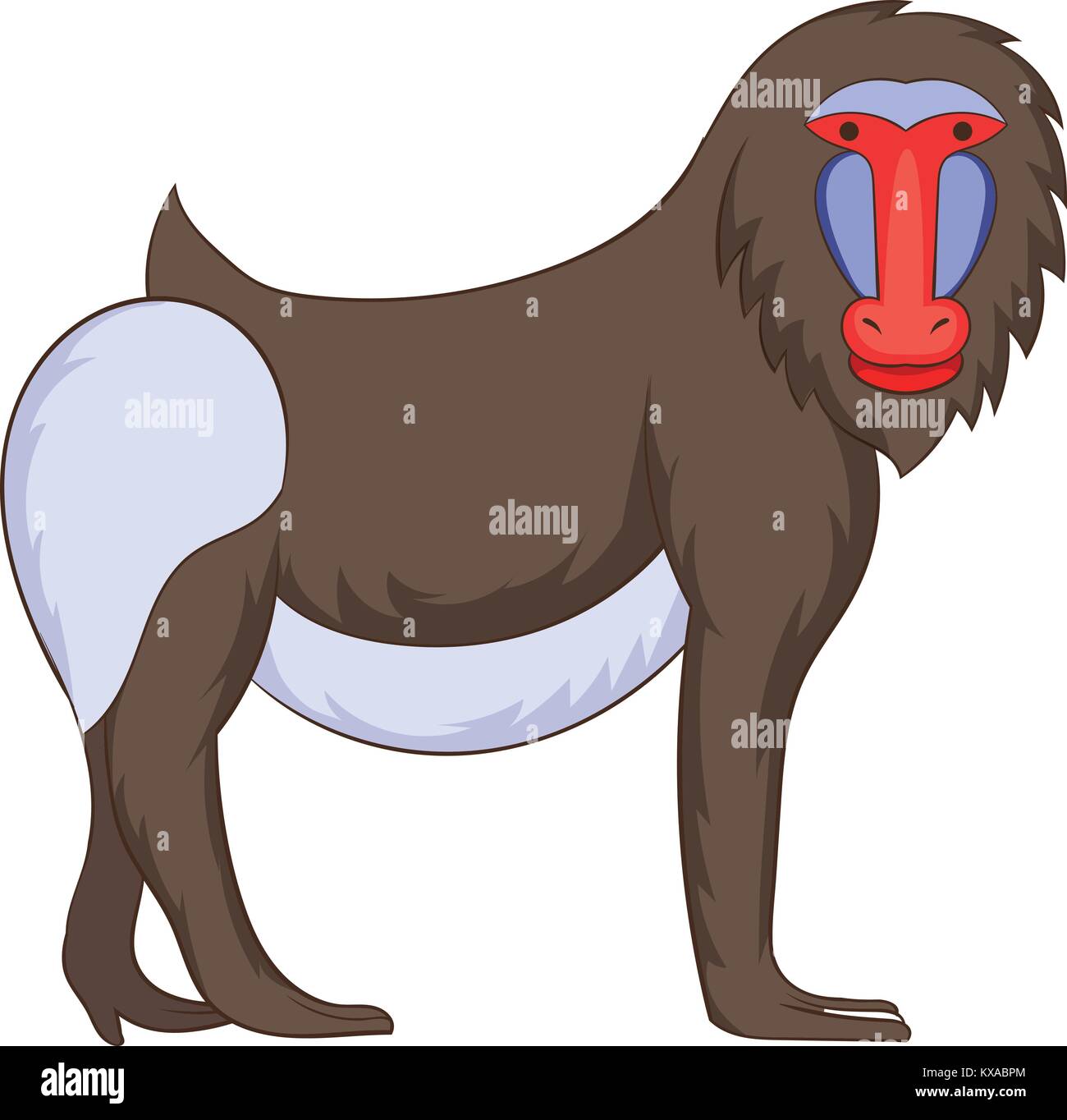 Walking mandrill hi-res stock photography and images - Alamy