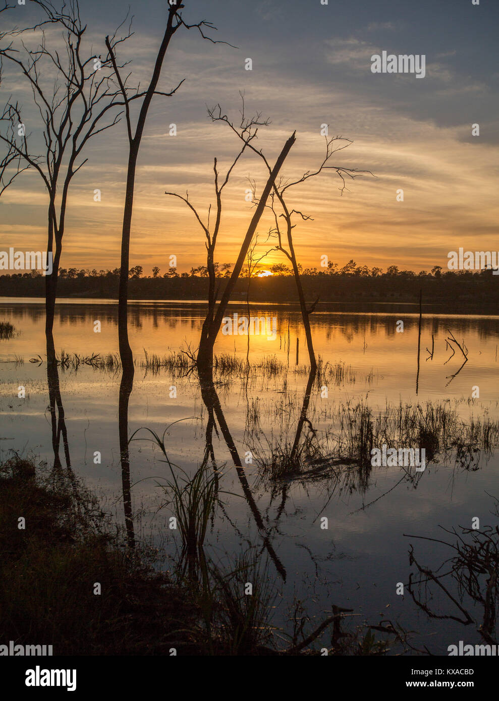 Australian nightfall hi-res stock photography and images - Alamy