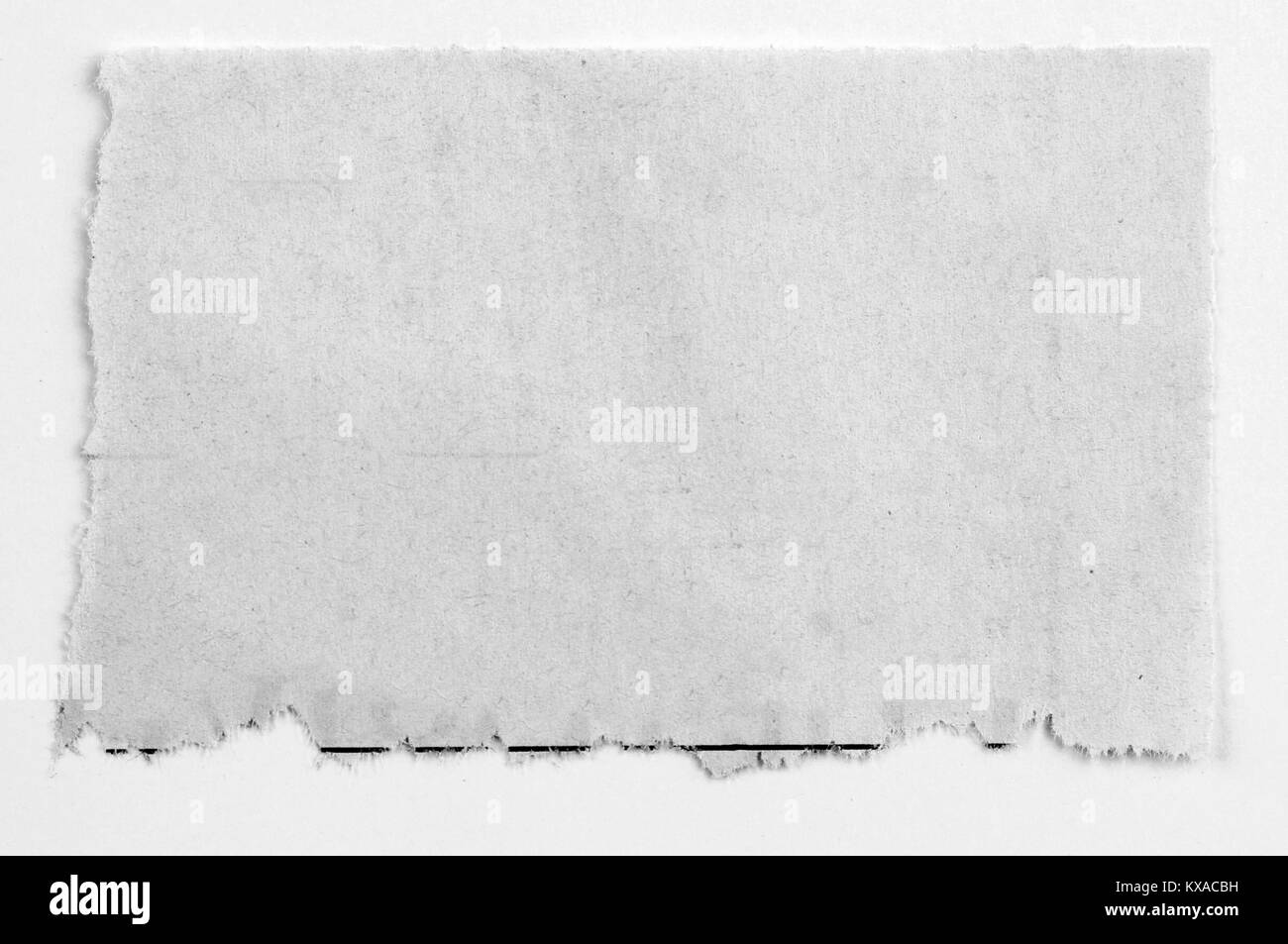Piece of torn blank paper Stock Photo - Alamy