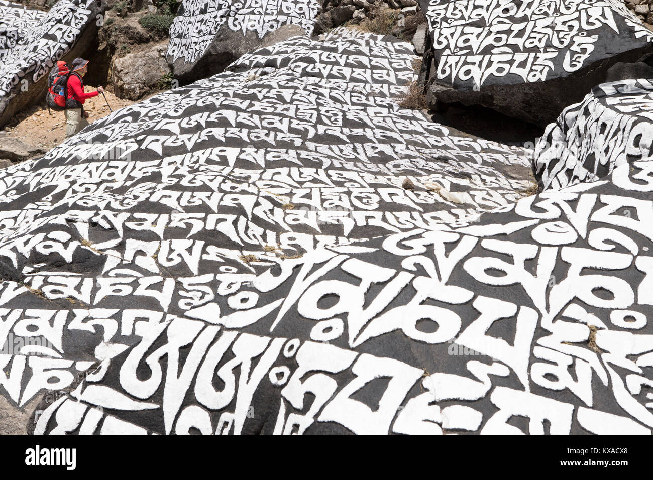 A hiker between huge mani walls with mani stones, inscribed with ...
