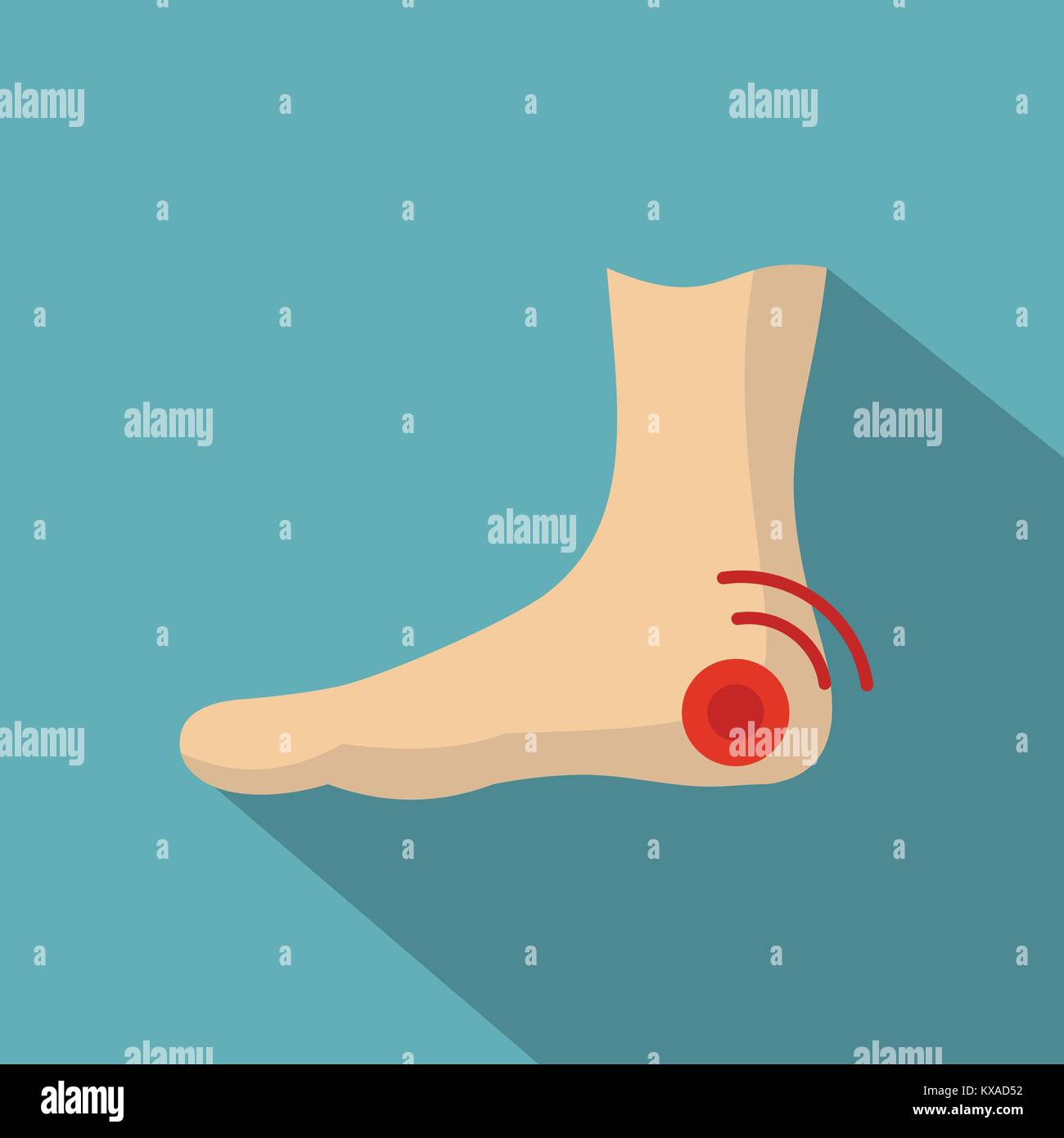 Bottom of foot anatomy Stock Vector Images - Alamy