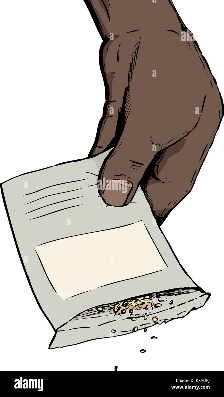Close up on hand holding packet with seeds falling out over white ...
