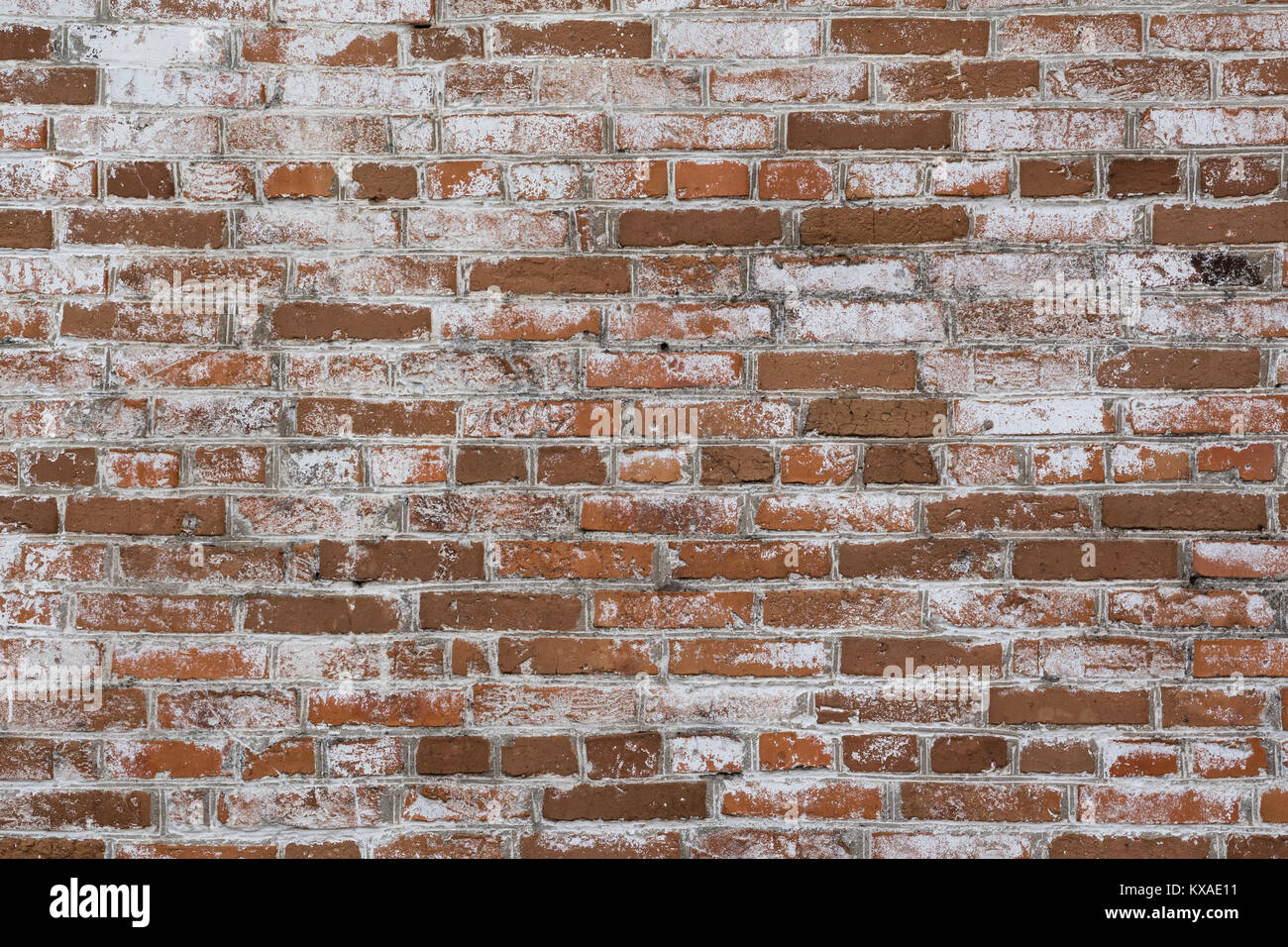 Frontal background of the red and white brick wall Stock Photo - Alamy