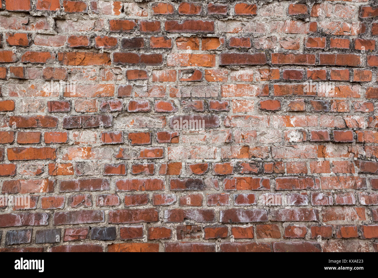 Old red and white chipped brick wall. Front view. Background. Texture ...