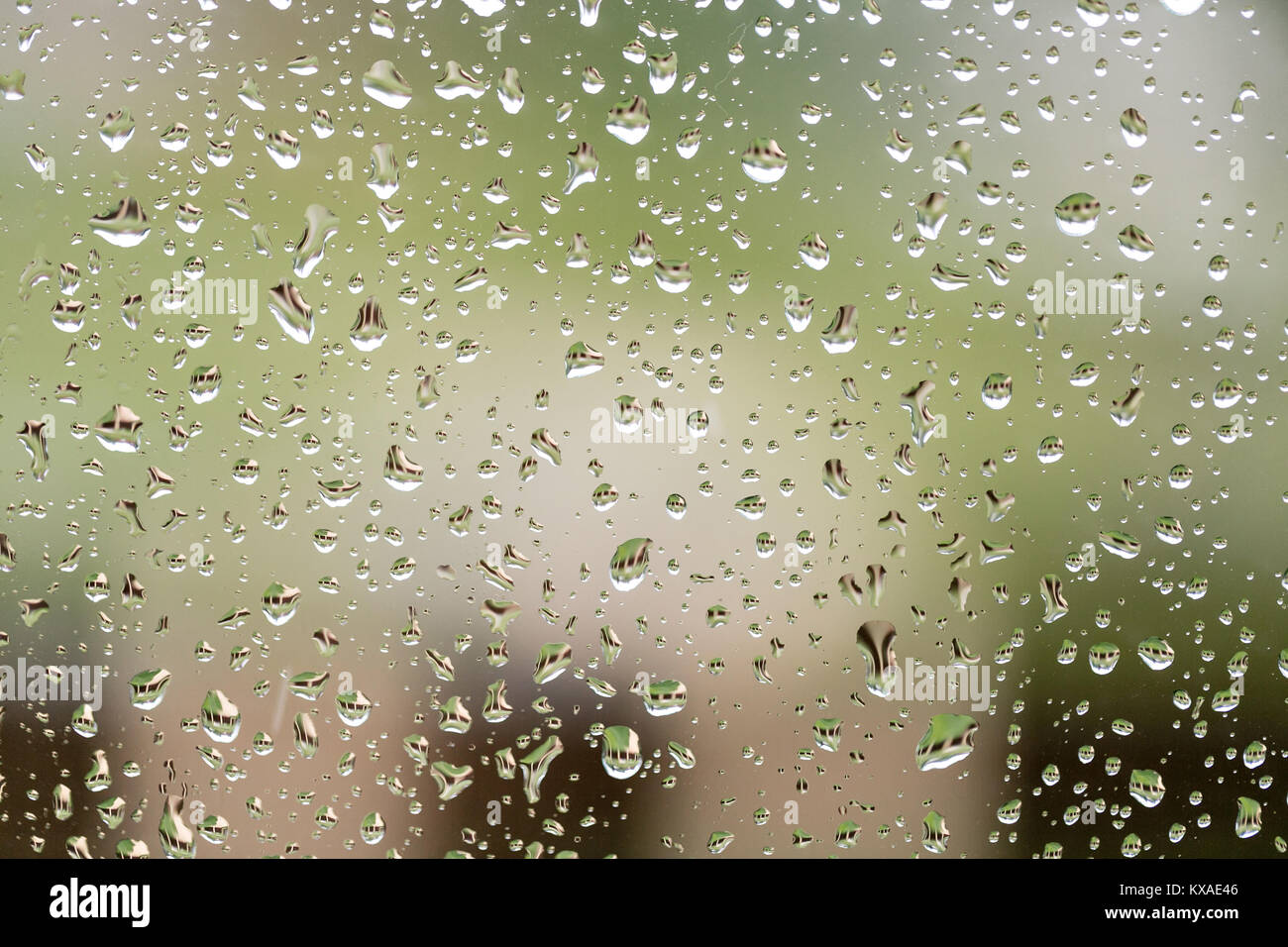 Rain drops on window with building and green tree in background Stock ...
