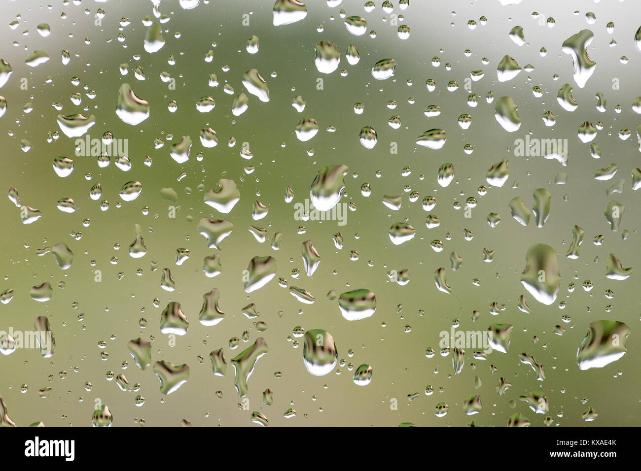 Rain drops on window with building and green tree in background Stock ...