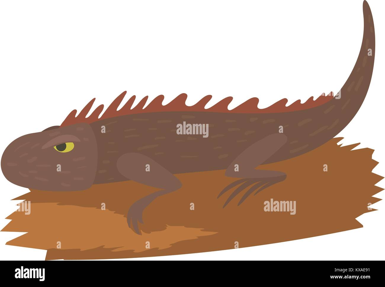 Iguana icon, cartoon style Stock Vector Image & Art - Alamy