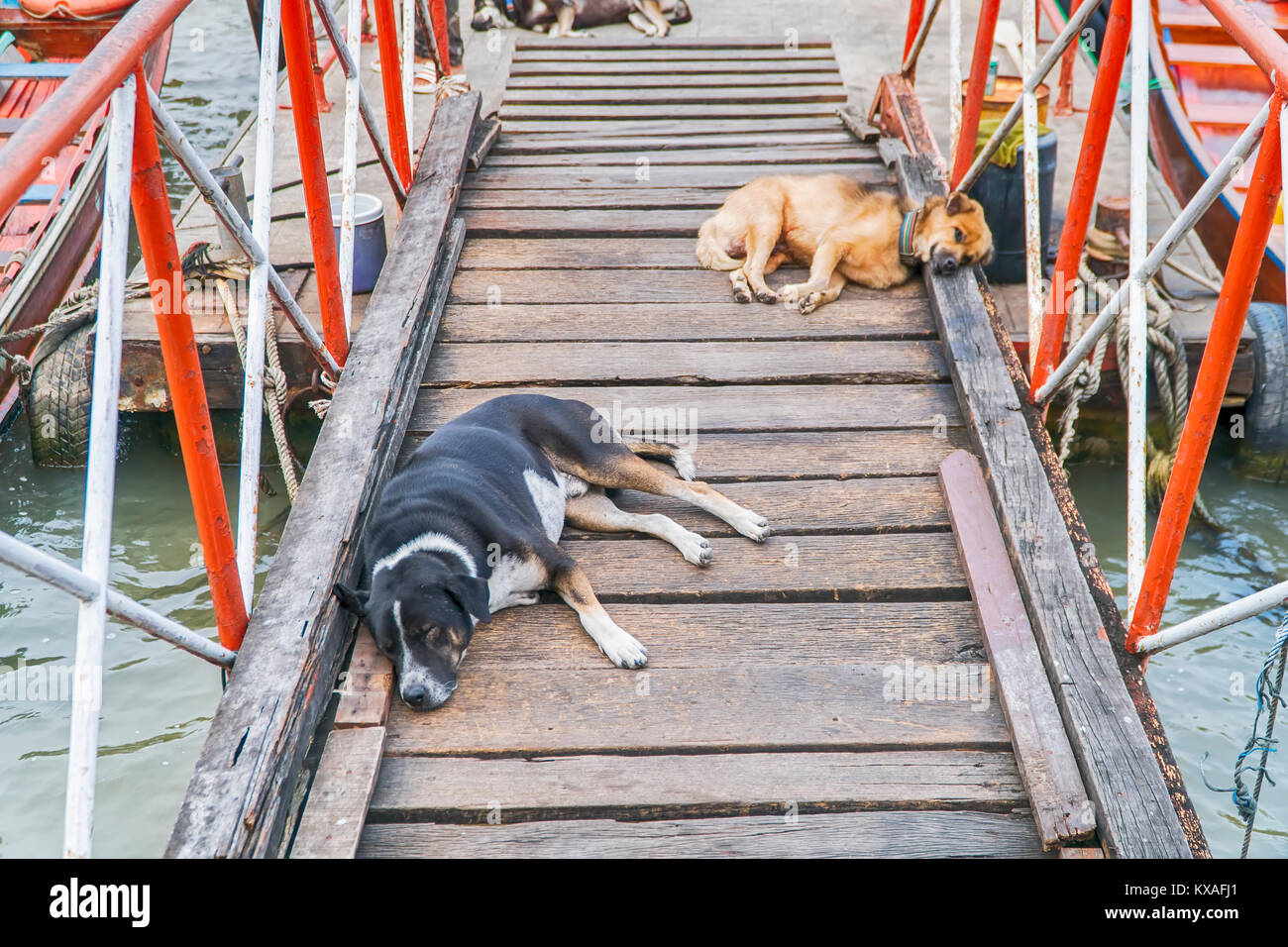 Wooden bridge floor texture beautiful hi-res stock photography and ...