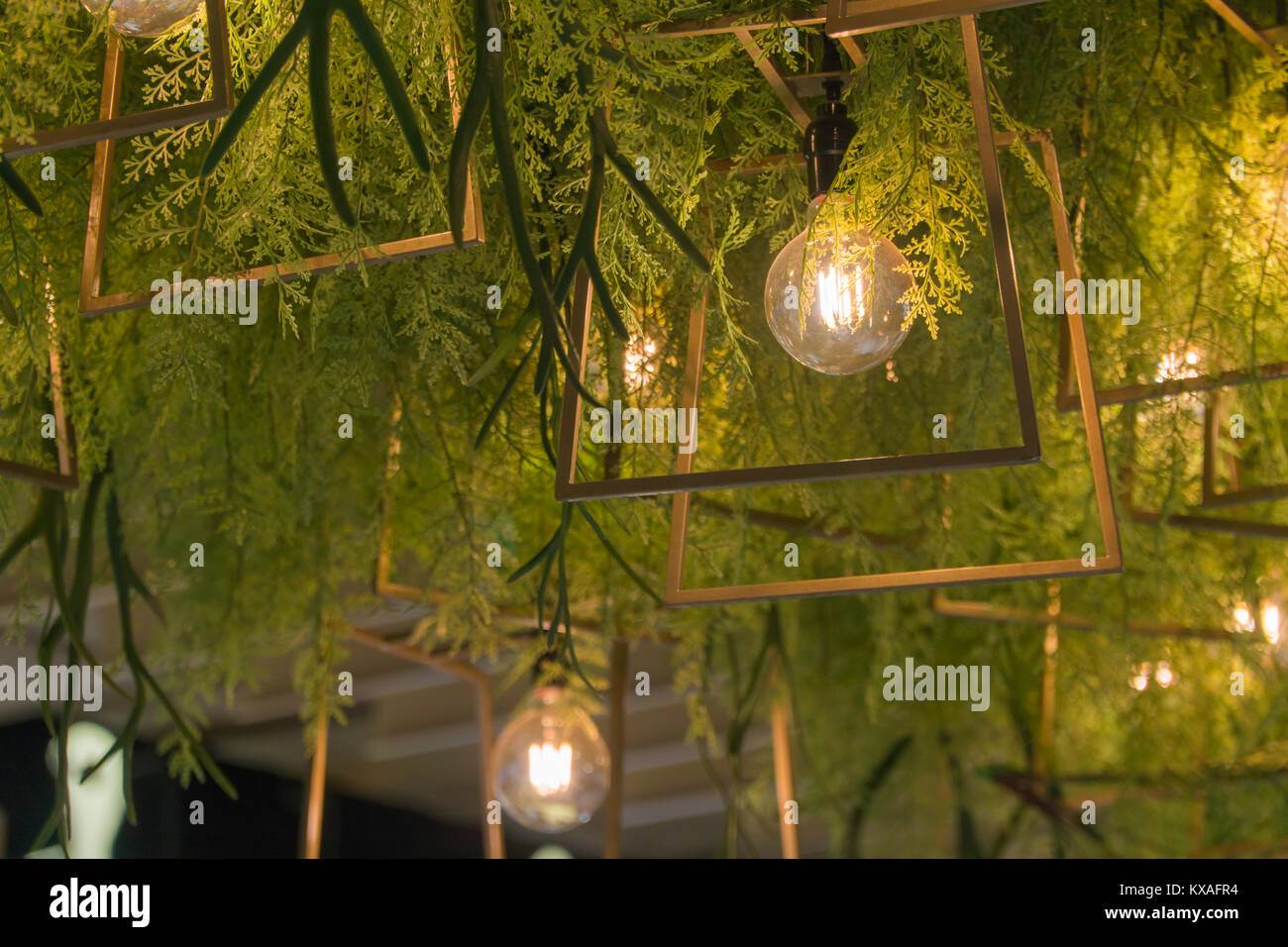 Orange light bulb at night Stock Photo - Alamy
