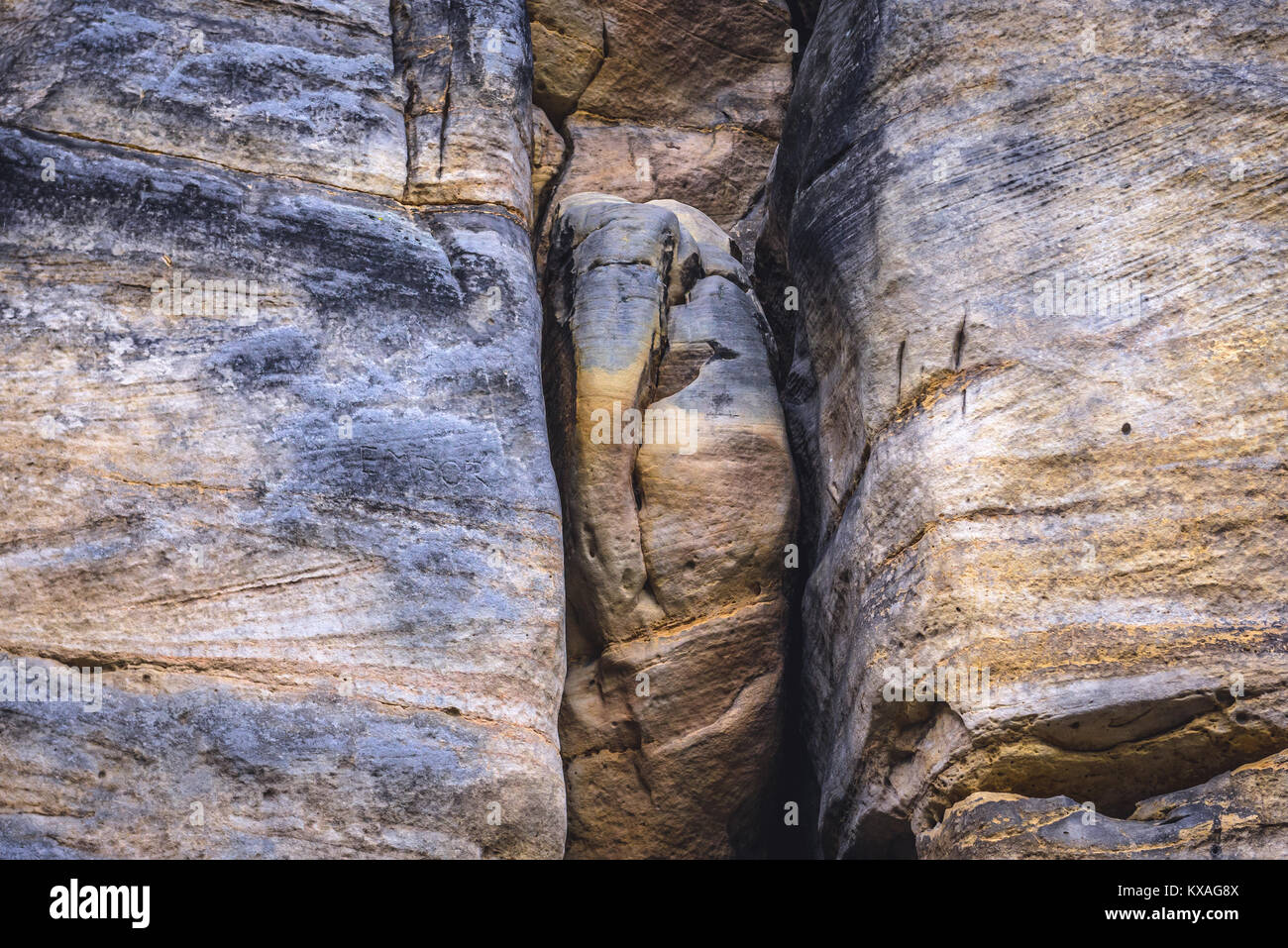 Elephant head shaped rock in National Nature Reserve Adrspach-Teplice ...