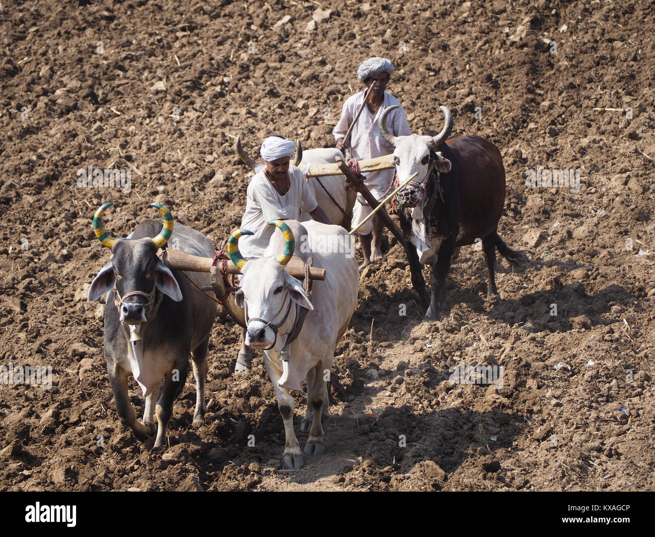 Farmer on dry field hi-res stock photography and images - Alamy