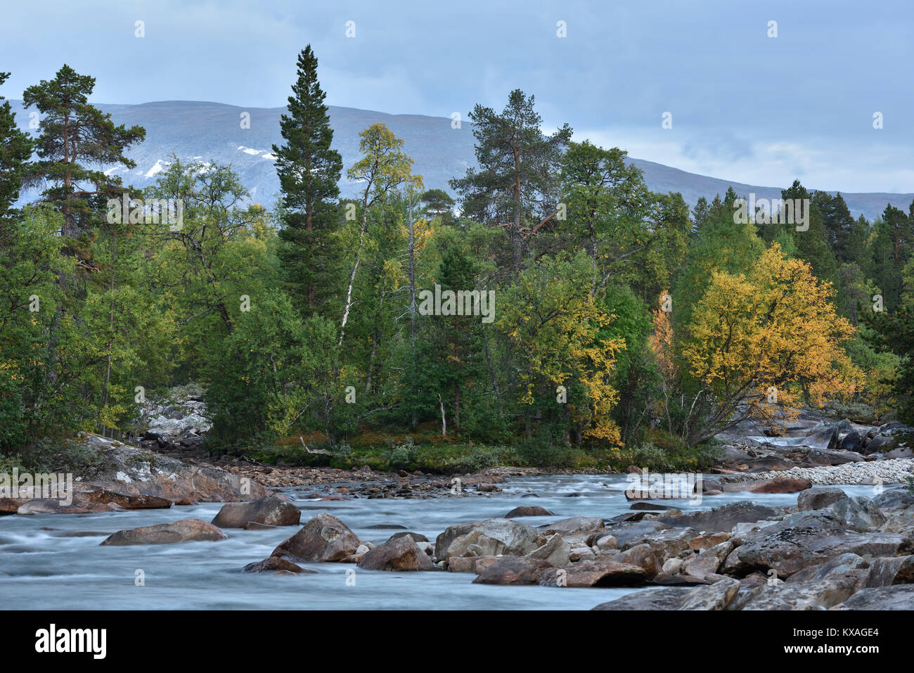 Saltdal river hi-res stock photography and images - Alamy
