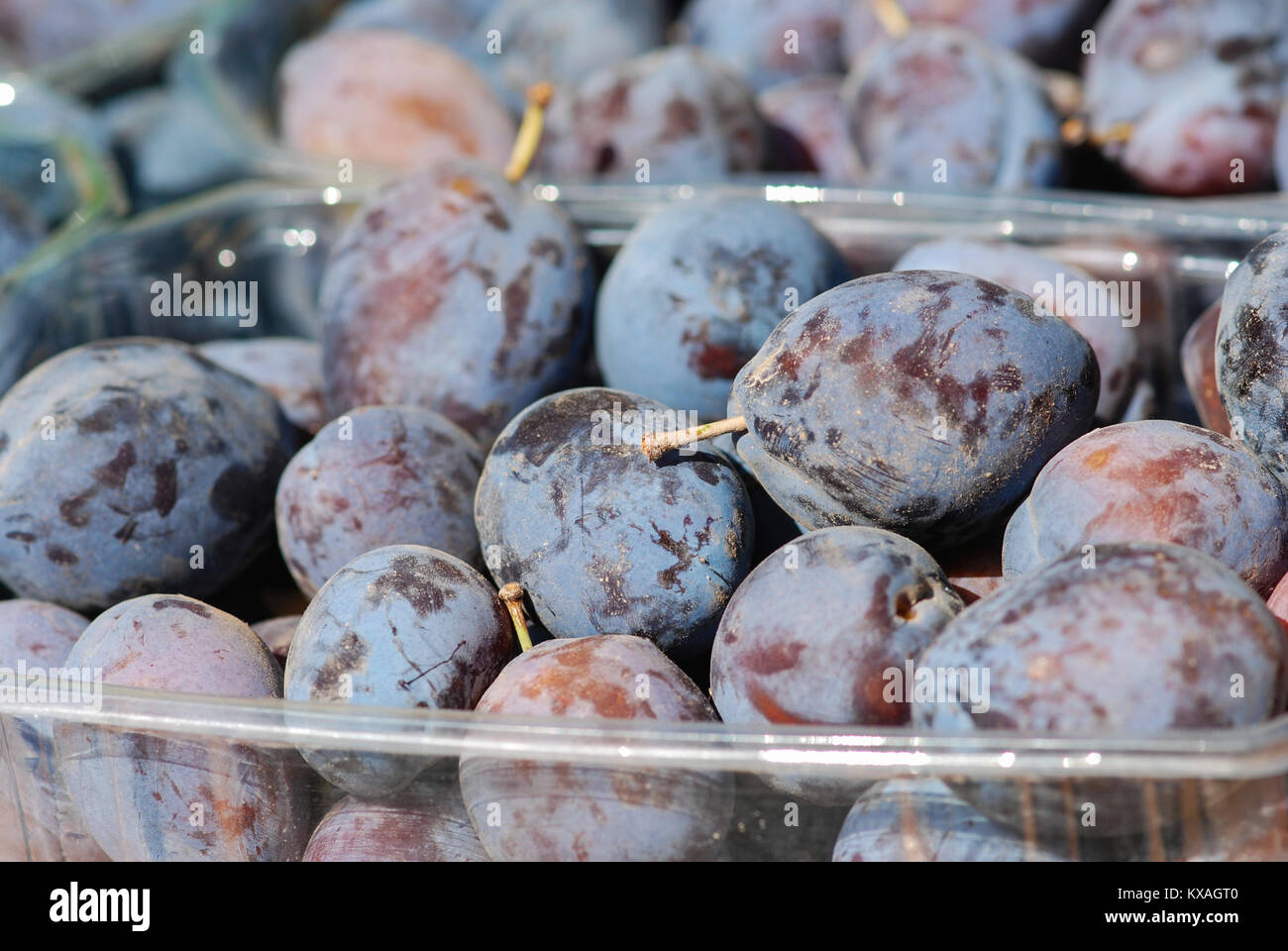 Closeup picture of many colorful mango Stock Photo - Alamy