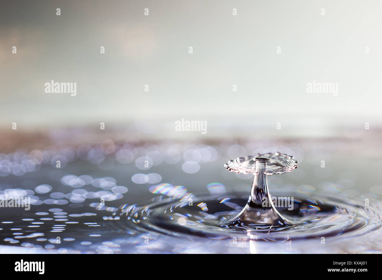 Photograph of Water droplets with a coloured background. also known as ...