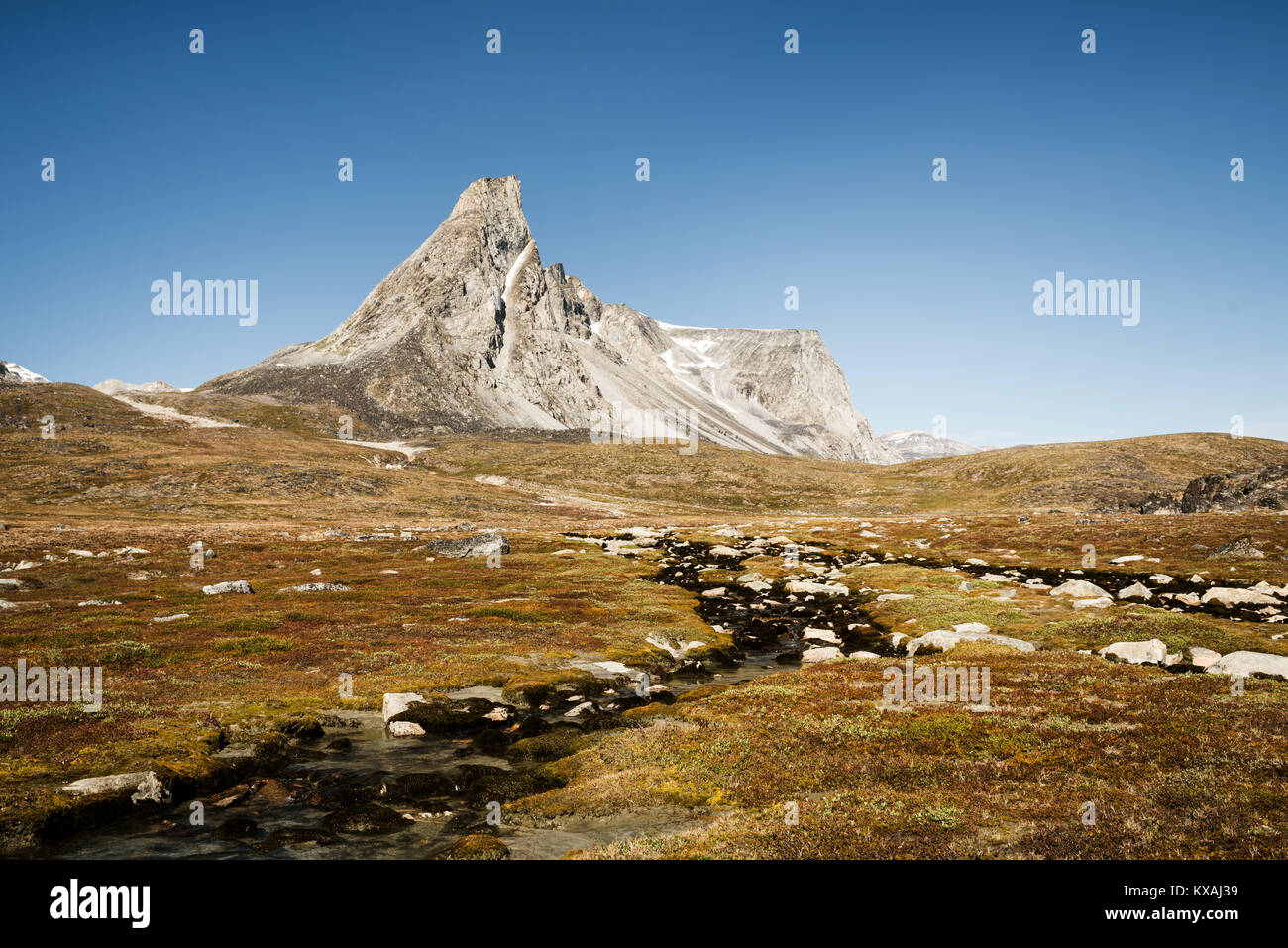 Landscape with mountain and brook, alpine vegetation, West Greenland ...