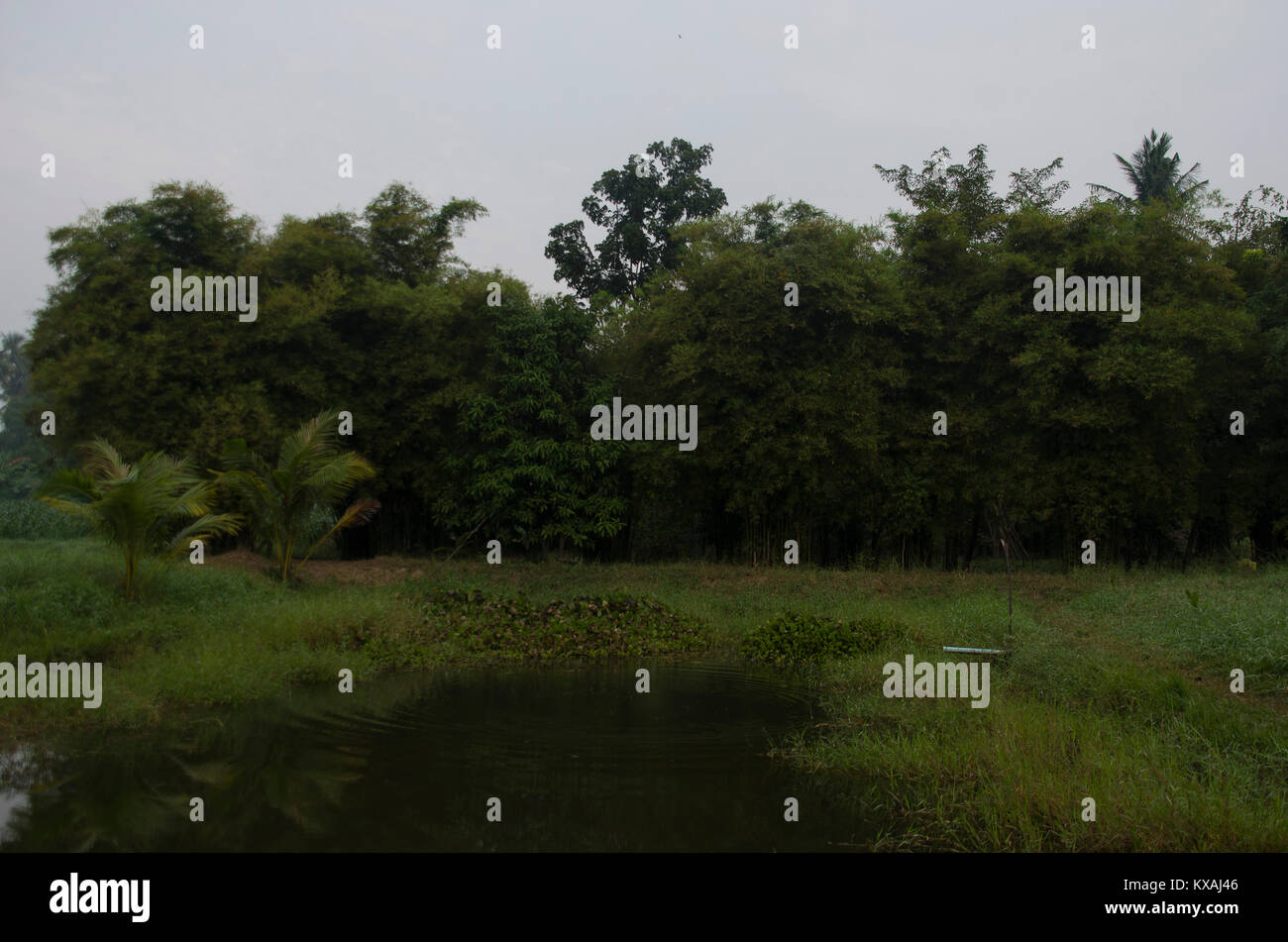 Landscapes wallpaper hi-res stock photography and images - Alamy