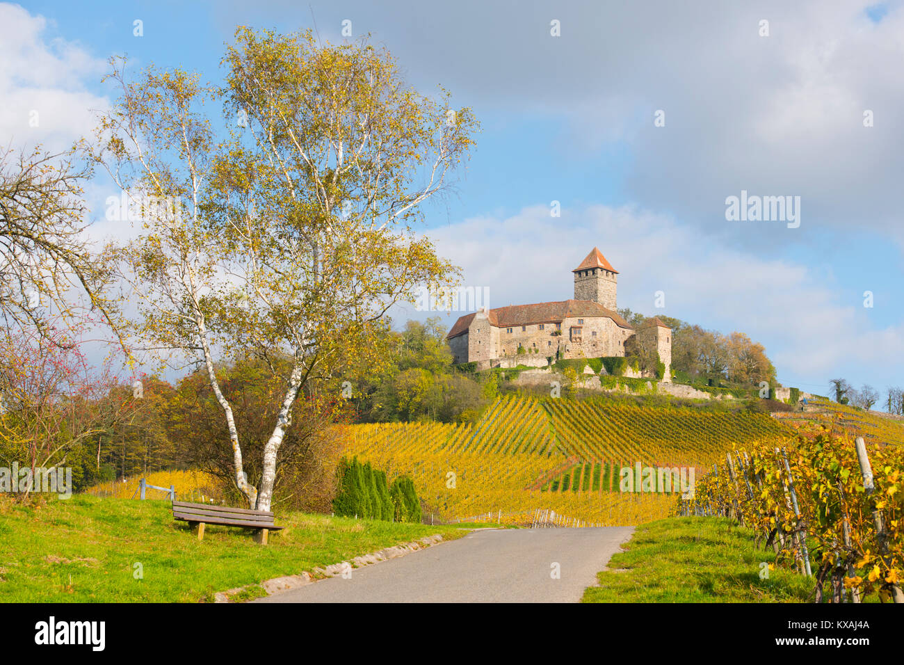 Castle Lichtenberg, Vineyards, Autumn Landscape, Oberstenfeld, Baden ...