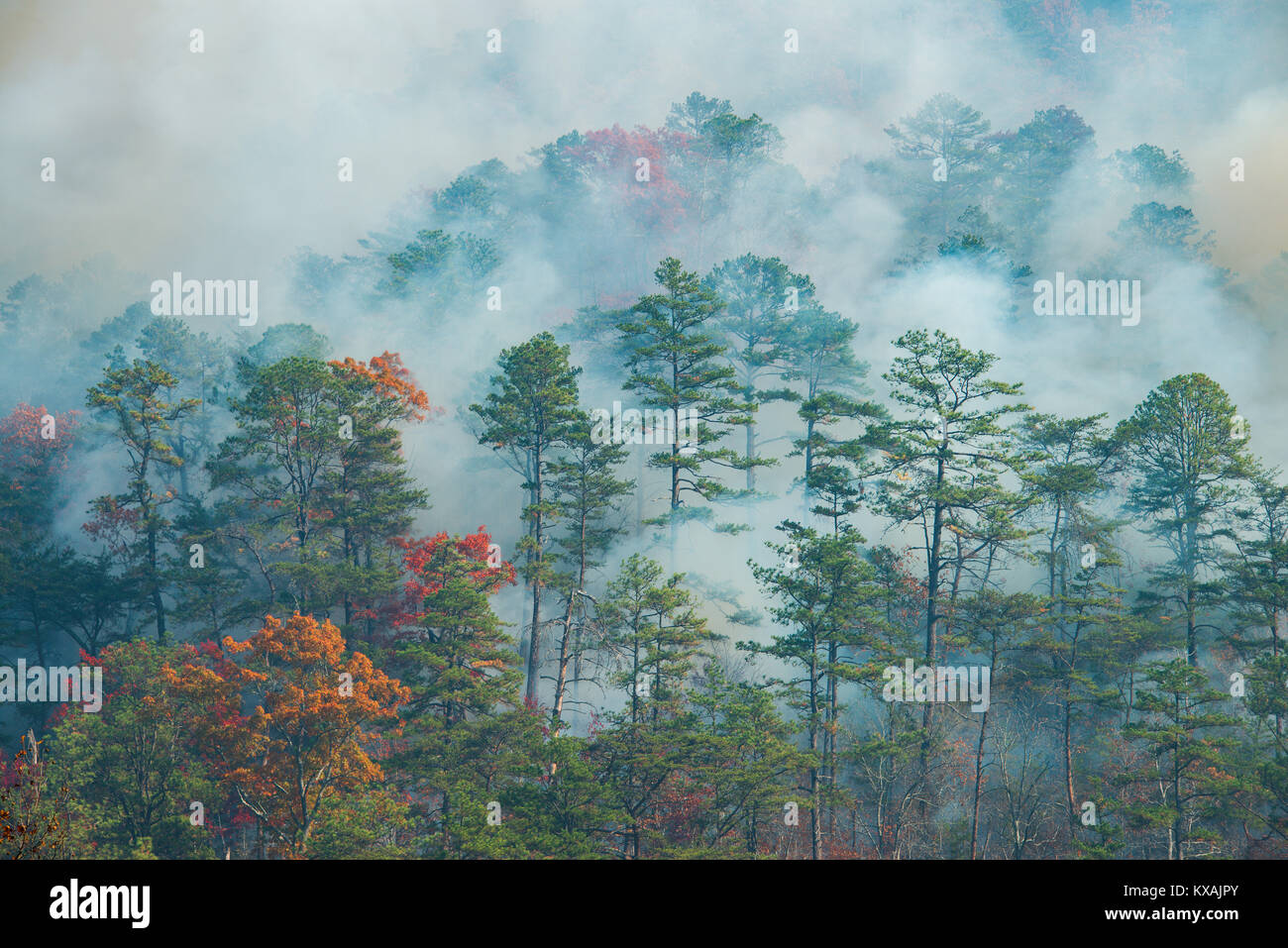 Wildfire smoky hi-res stock photography and images - Alamy