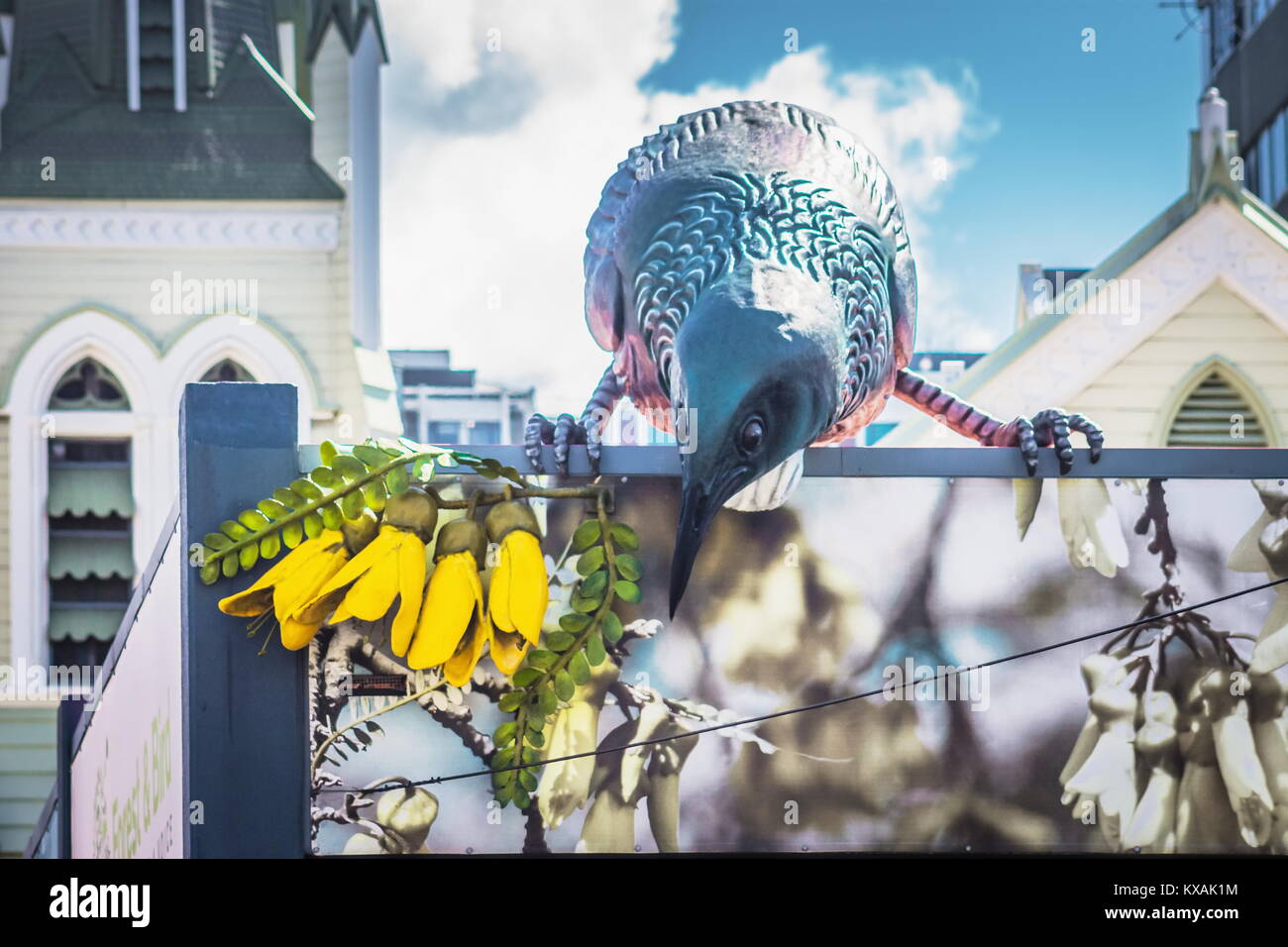 Wellington, New Zealand - 28 September 2015: Izzy the giant Tui sitting ...