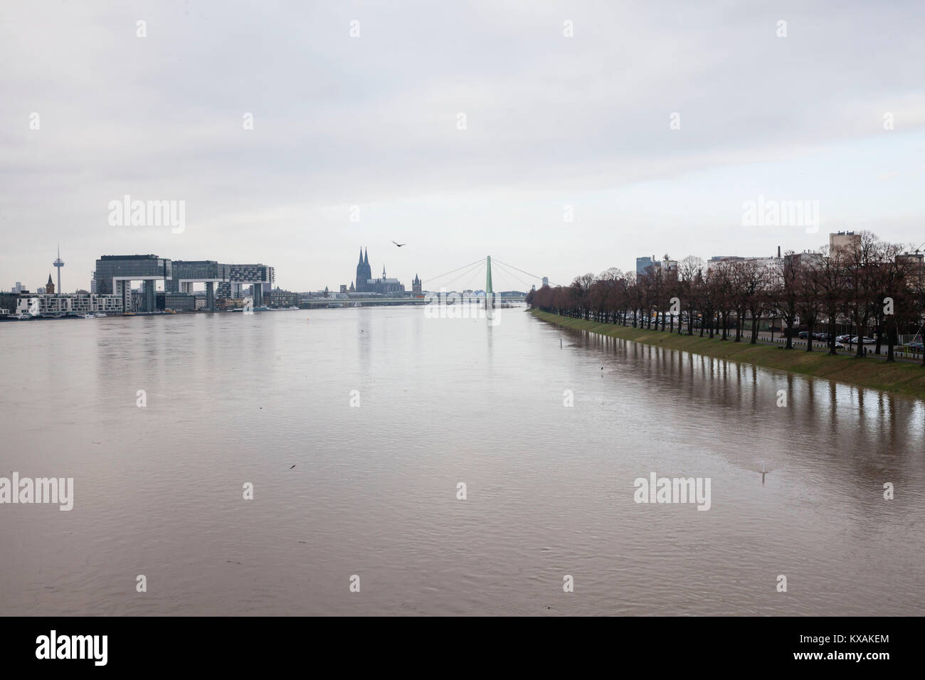 Cologne, Germany. 8th Jan, 2018. Flood of the river Rhine, view from ...
