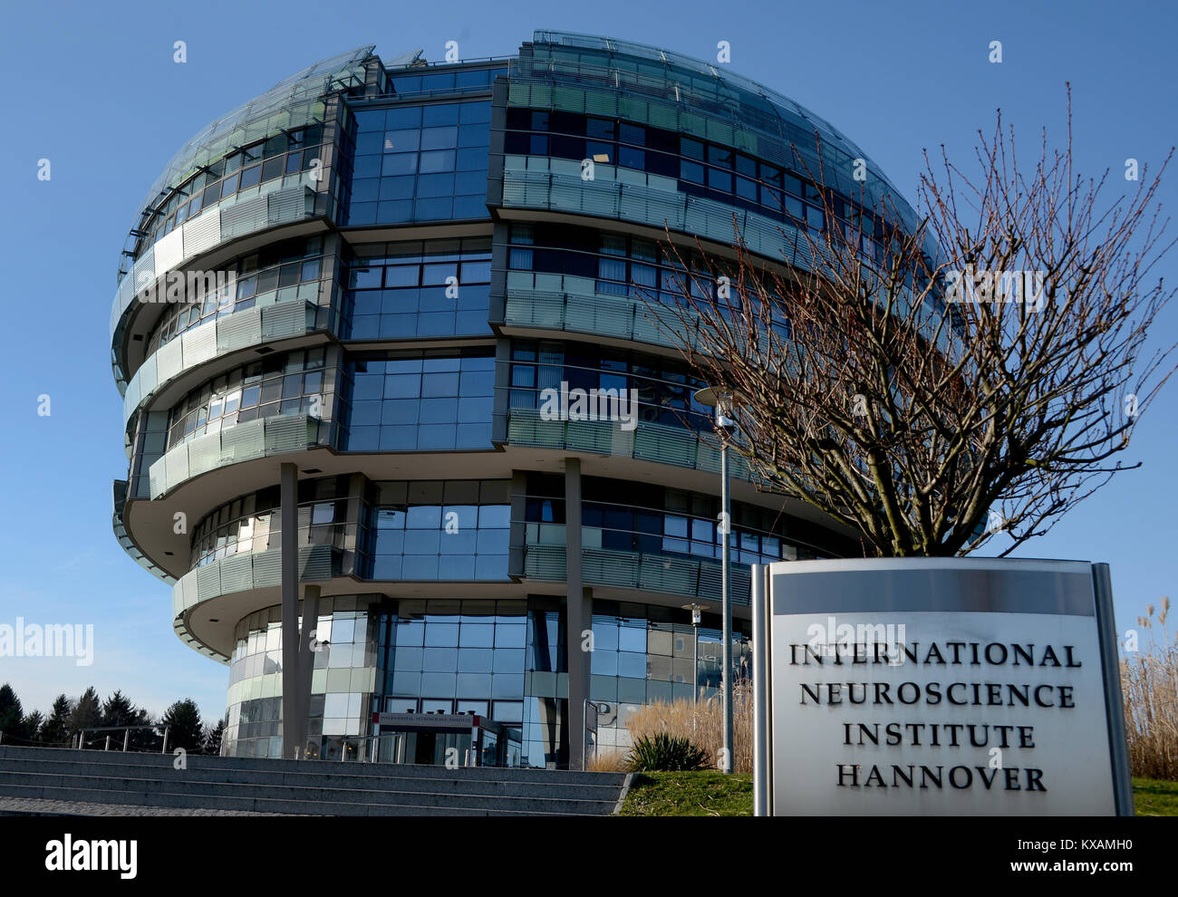 The International Neuroscience Institute Stock Photos & The ...