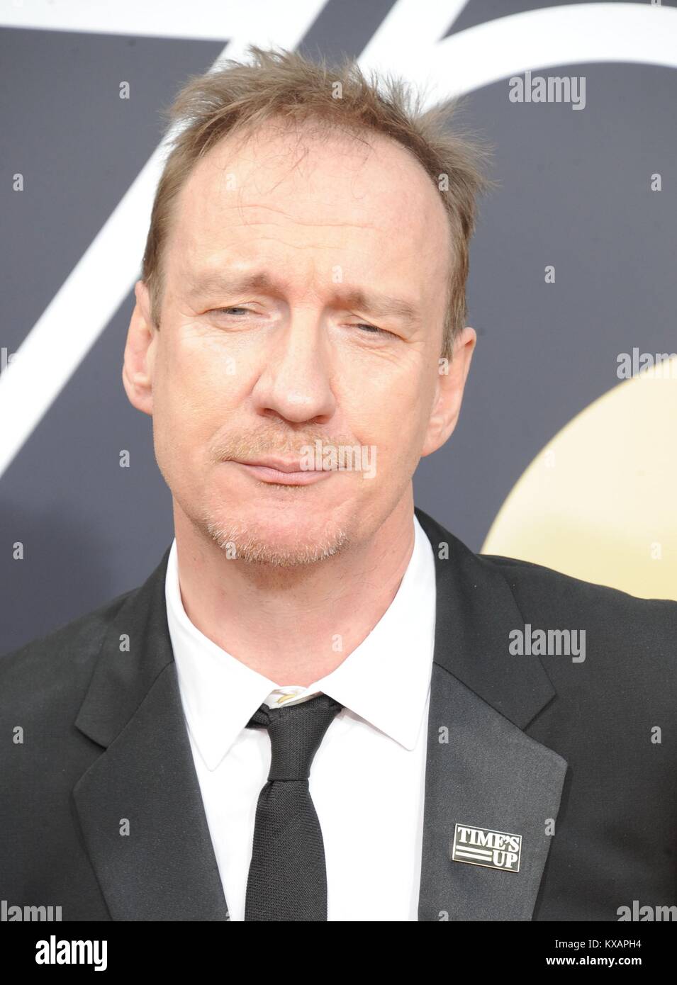 Beverly Hills, CA. 7th Jan, 2018. David Thewlis at arrivals for 75th ...
