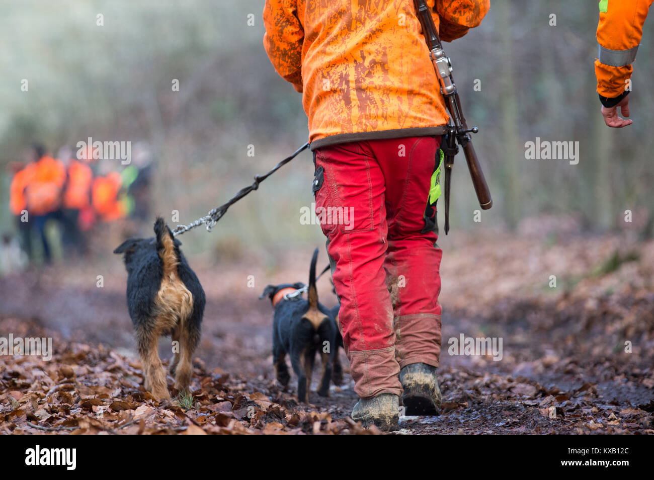 Bielefeld, Germany. 09th Jan, 2018. Hunters with dogs try to stir up ...