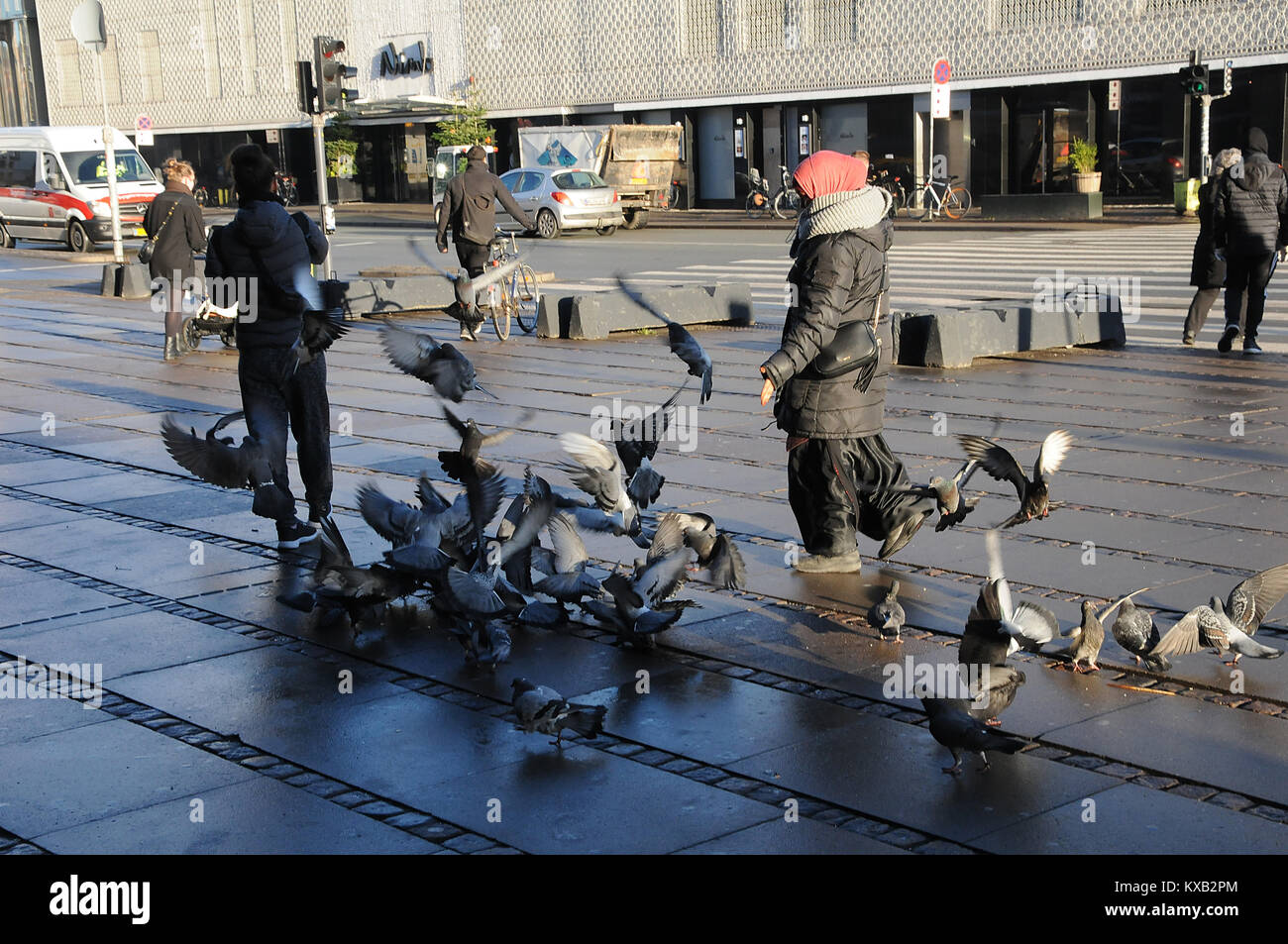 Copenhagen, Denmark. 9th Jan, 2018. Pigeons freeze in cold winter ...