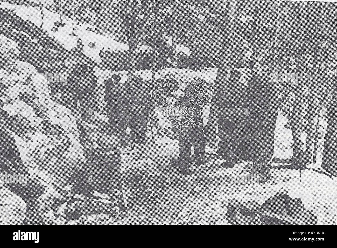 The Gradnik Brigade fought in Trnovski Forest during the final enemy ...