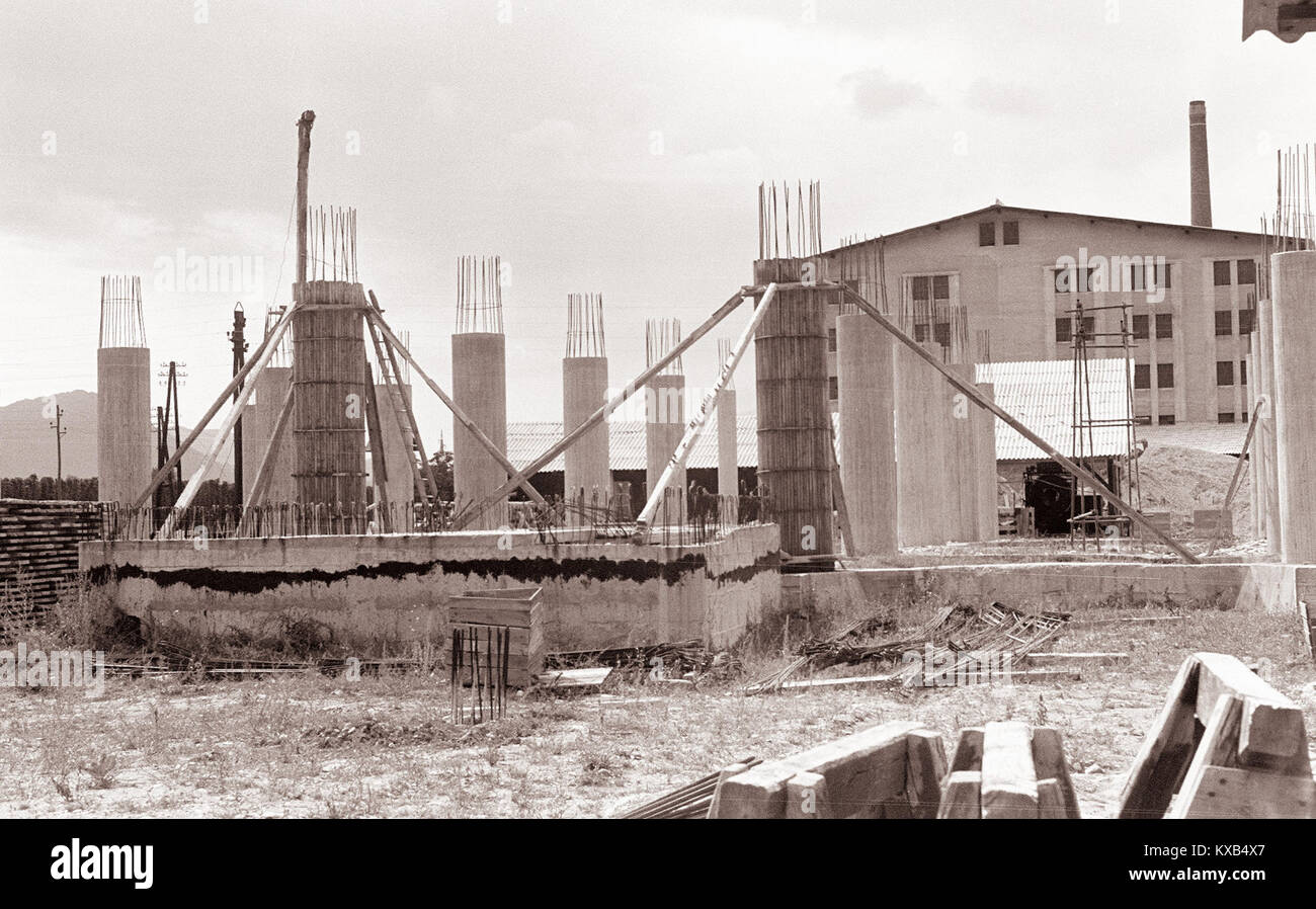 This photograph shows the construction of a new hop warehouse in Žalec ...