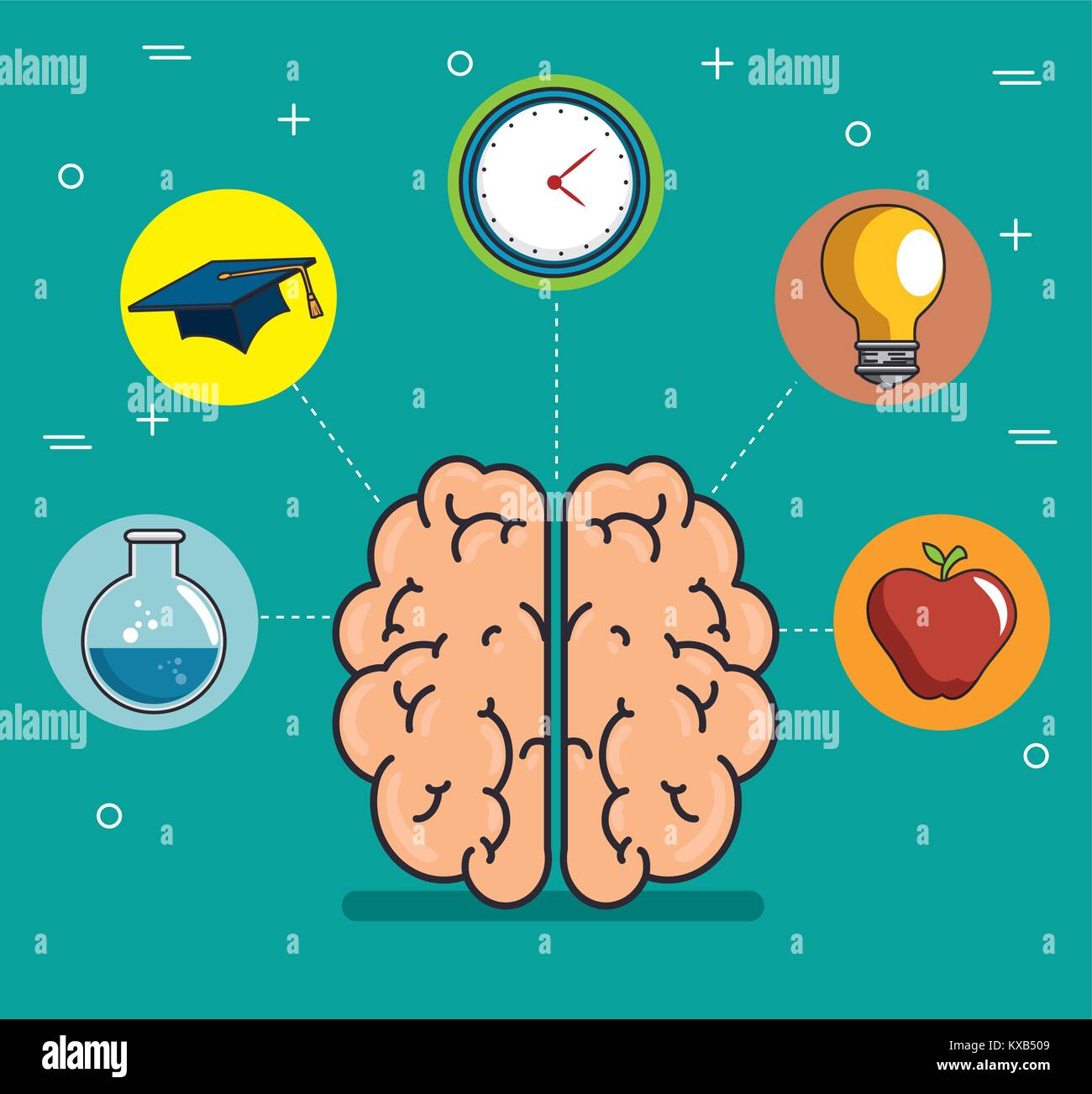 human brain education thinking concept Stock Vector Image & Art - Alamy