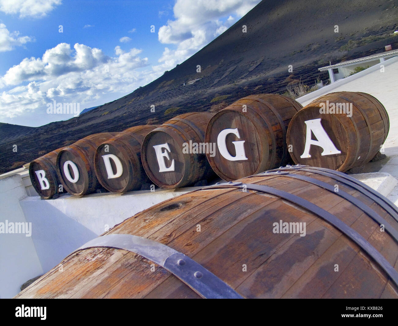 BODEGA Wine barrels outside a Spanish winery Bodega in vineyards ...