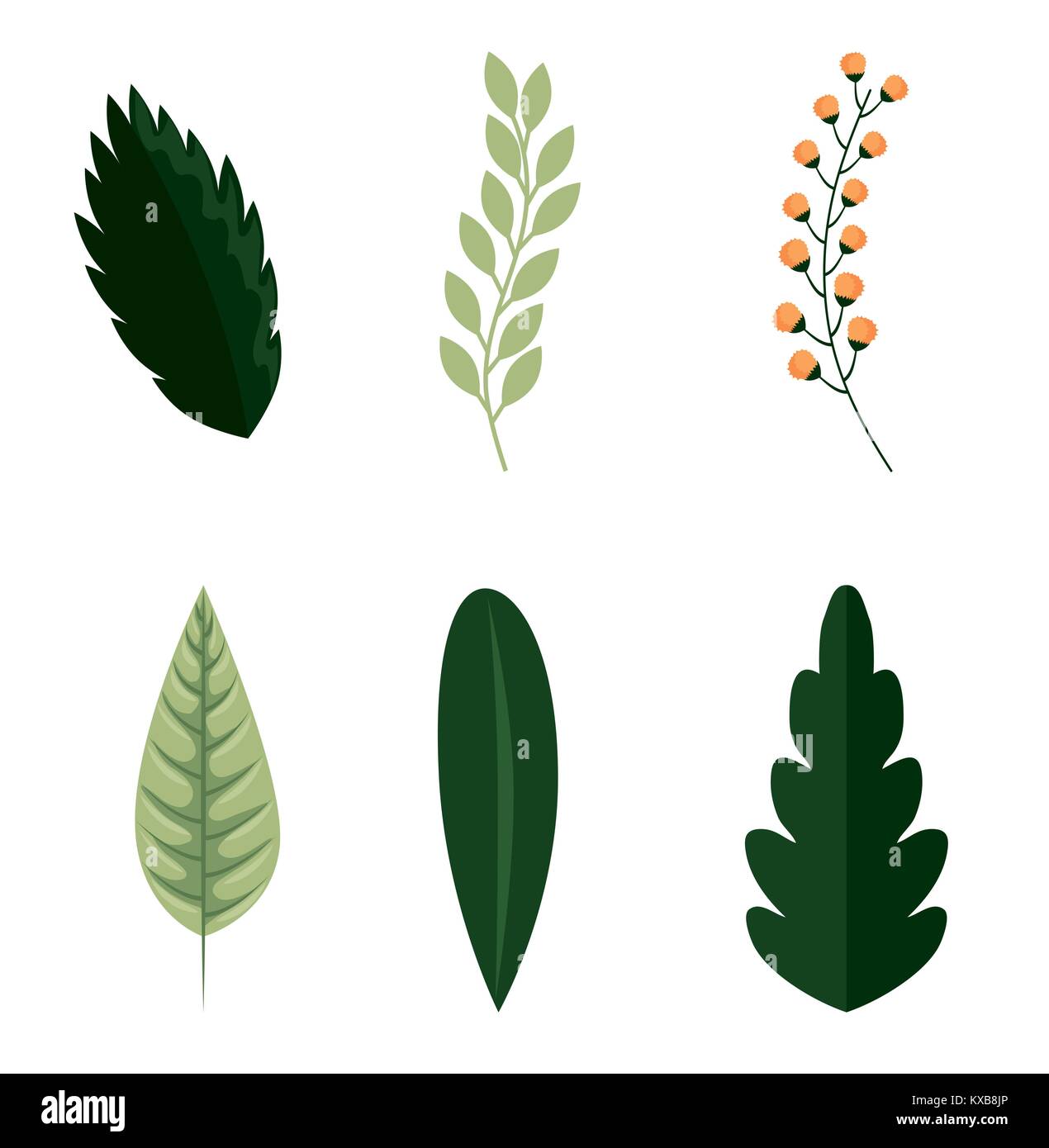 set of green nature leaves Stock Vector Image & Art - Alamy