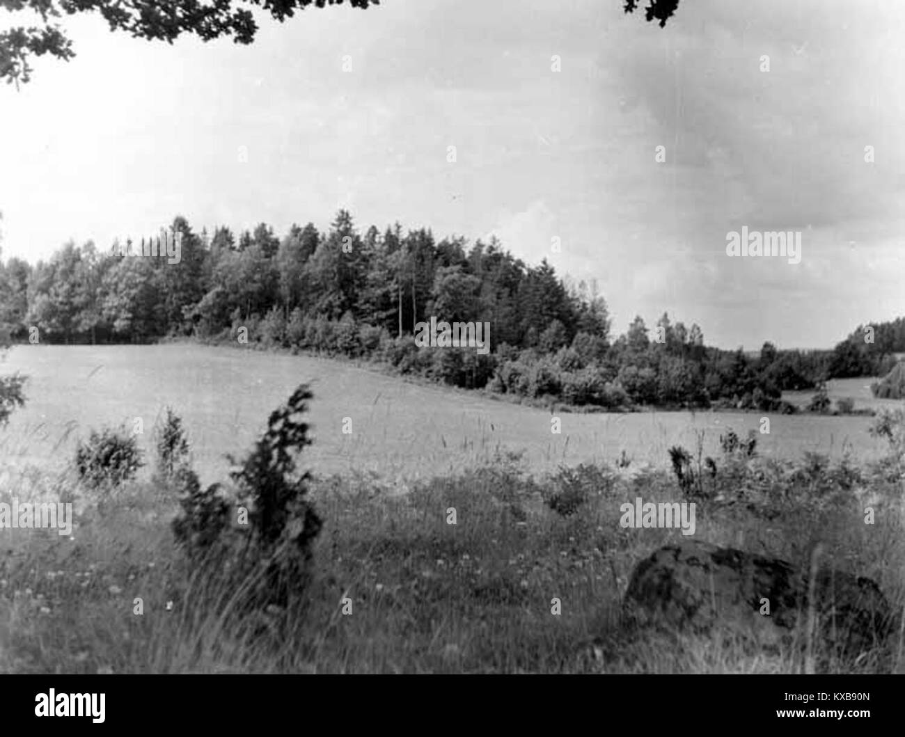 This photograph from 1957 shows the old farmyard in Högby, located in ...