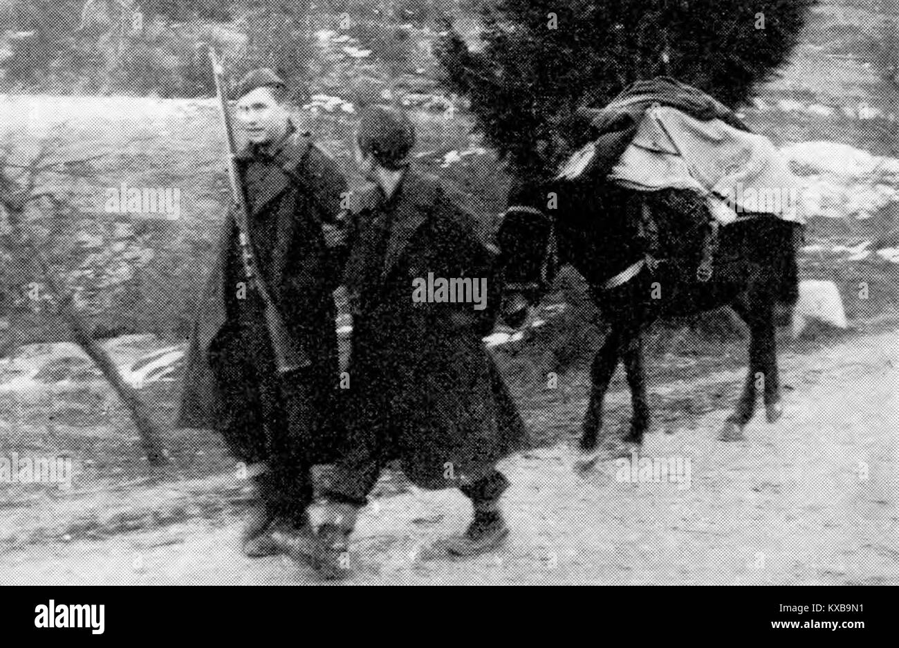 A historical photograph of the 15th brigade during its march from Semič ...