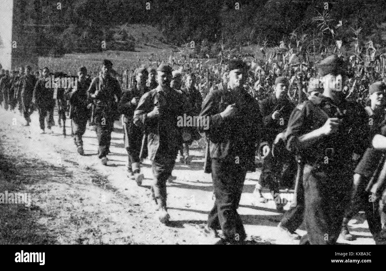 The 15th Brigade on its march towards Bela Krajina through Srednja Vas ...